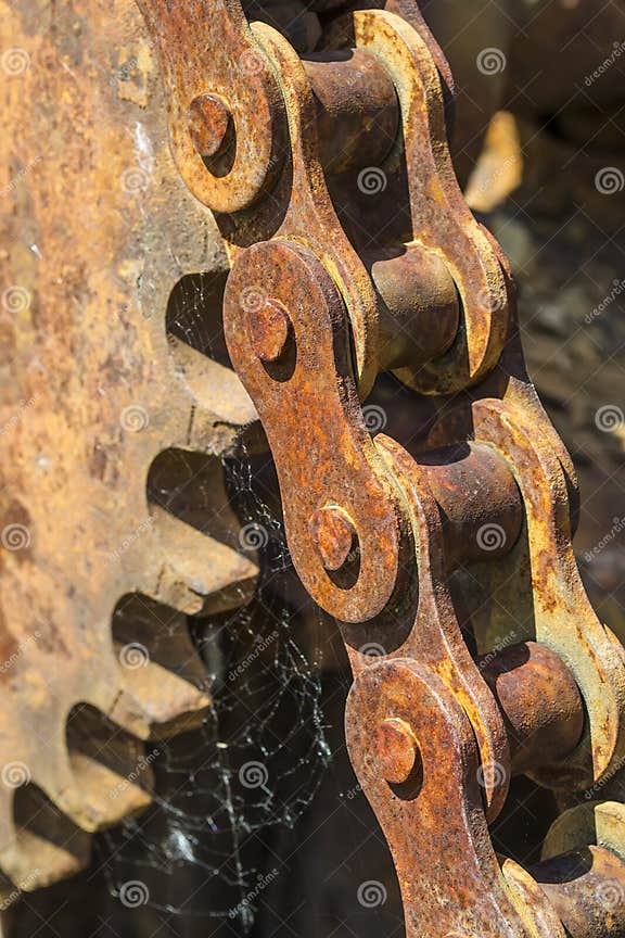 Chain and teeth stock image. Image of toothed, metal - 40034929