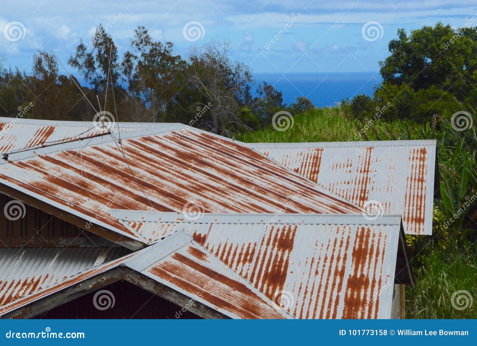 Rusty Rooftop stock photo. Image of rustic, rural, metal - 101773158