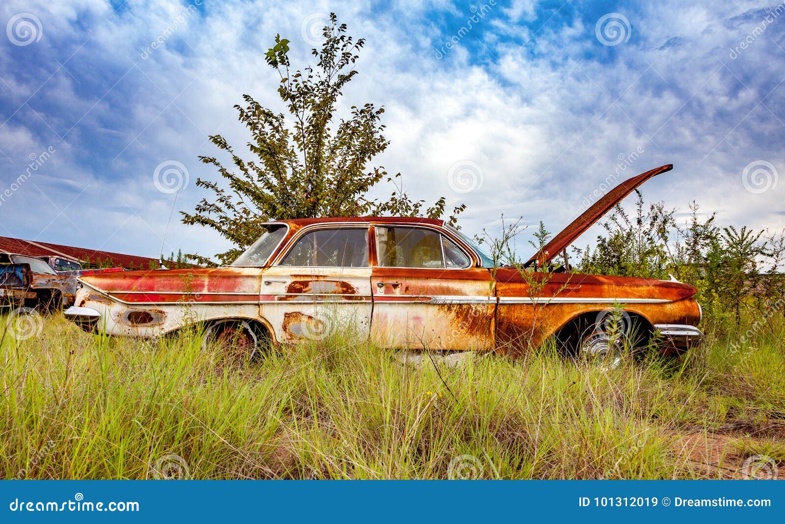 Rusty Salvage Yard Car stock image. Image of sunrise - 101312019