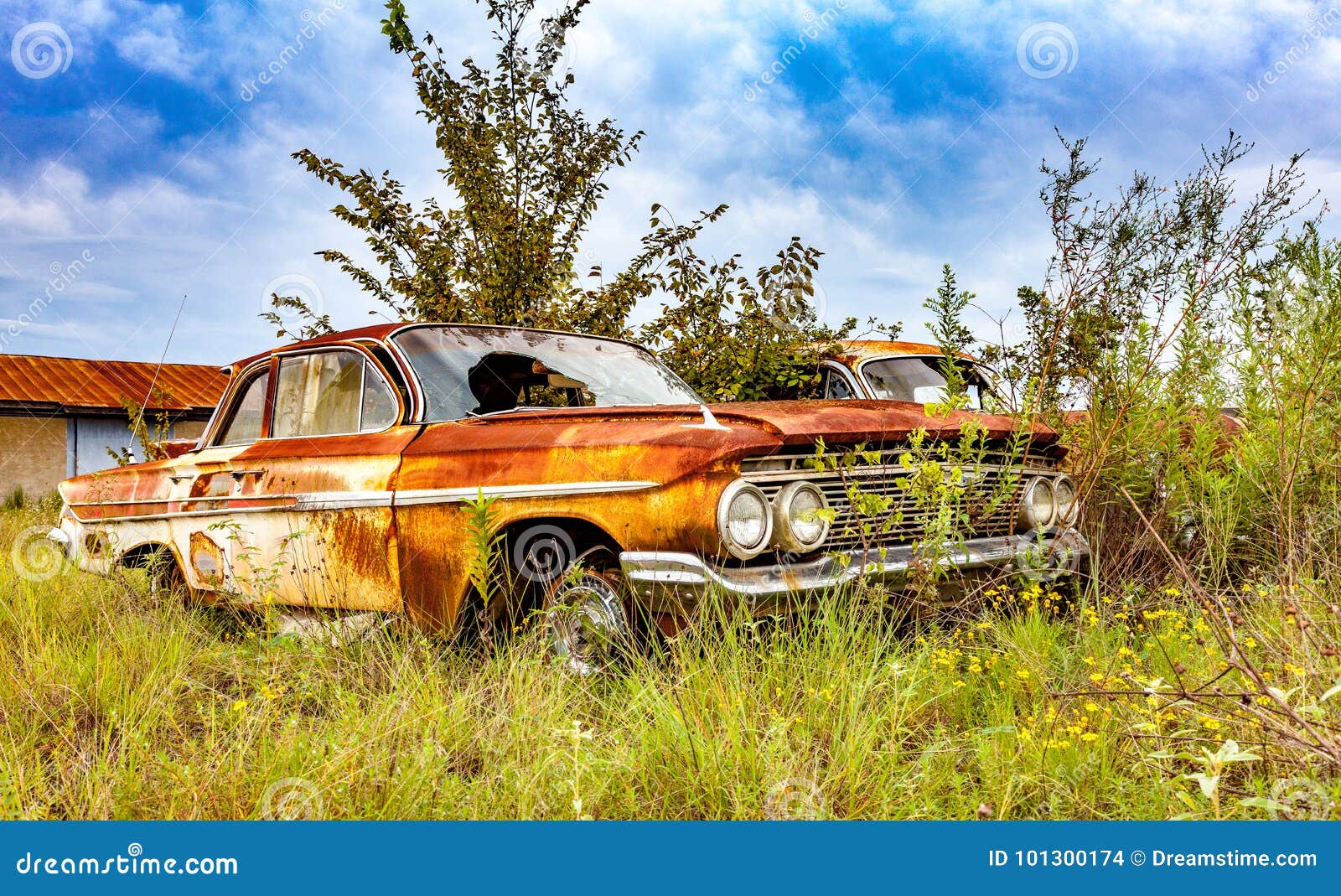 Rusty Salvage Yard Car stock photo. Image of cars, crash - 101300174