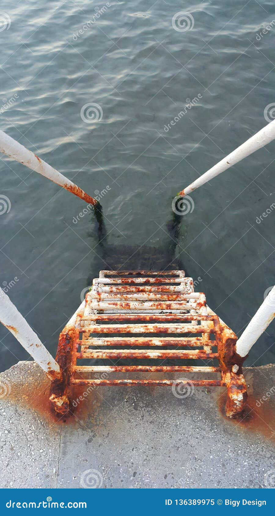 Rusty sea ladder stock image. Image of onthebeach, rustysealadder ...