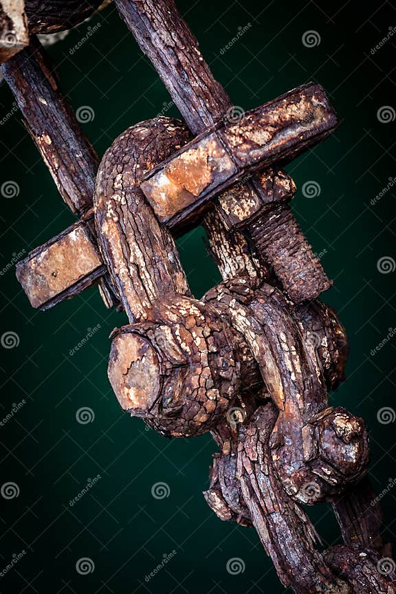 Rusty Shackle stock photo. Image of brown, blur, join - 25407620