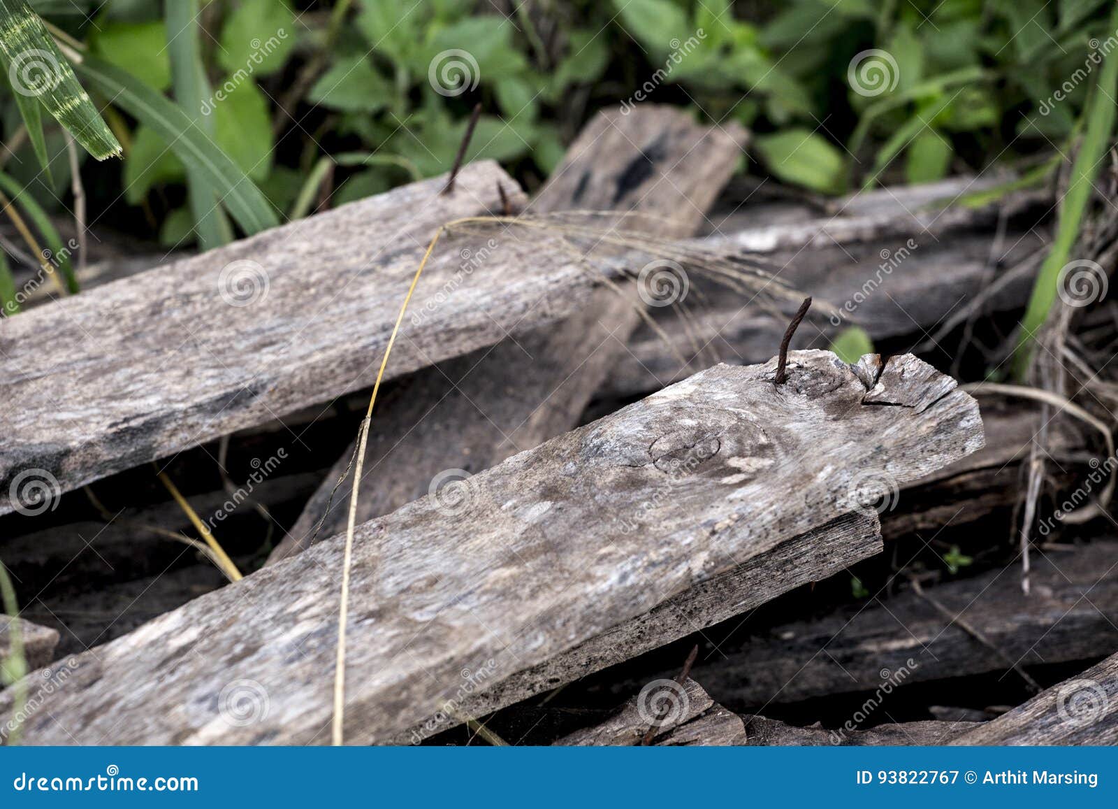 Rusty Sharp Nail Wooden Plank Stock Photos - Free & Royalty-Free Stock ...