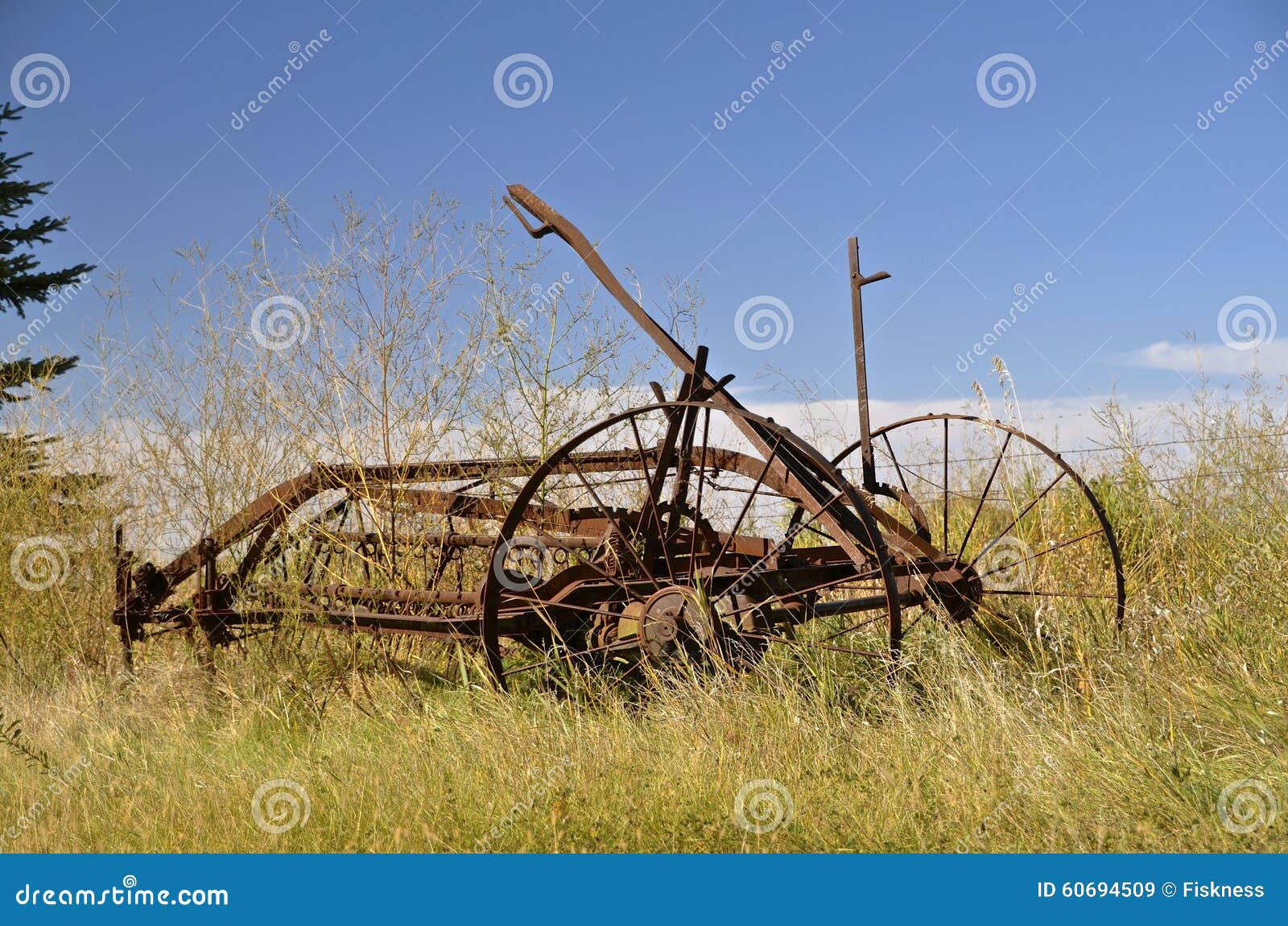 Rusty side delivery rake stock image. Image of farm, weeds - 60694509