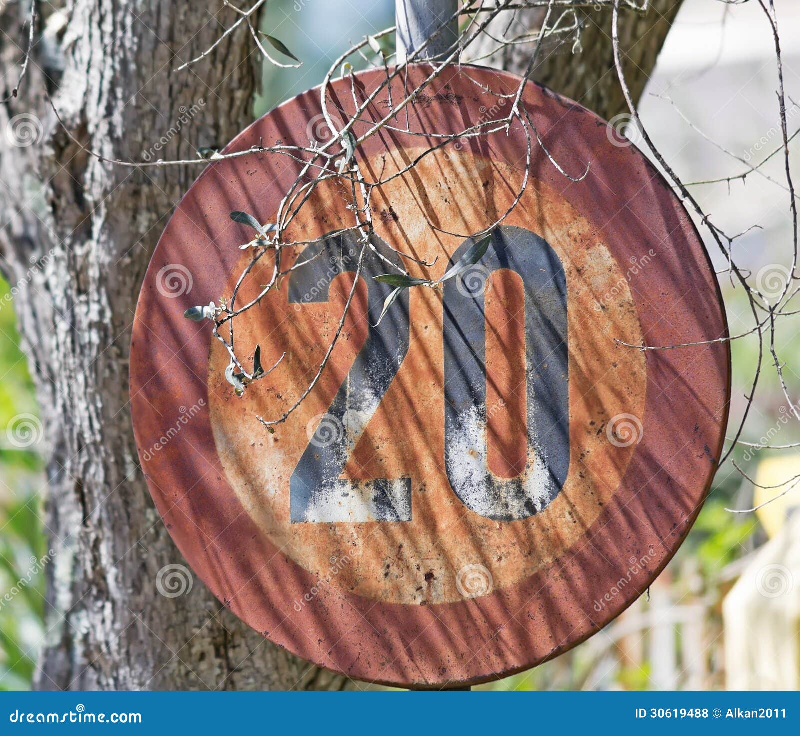 Rusty sign stock photo. Image of italy, springtime, branch - 30619488