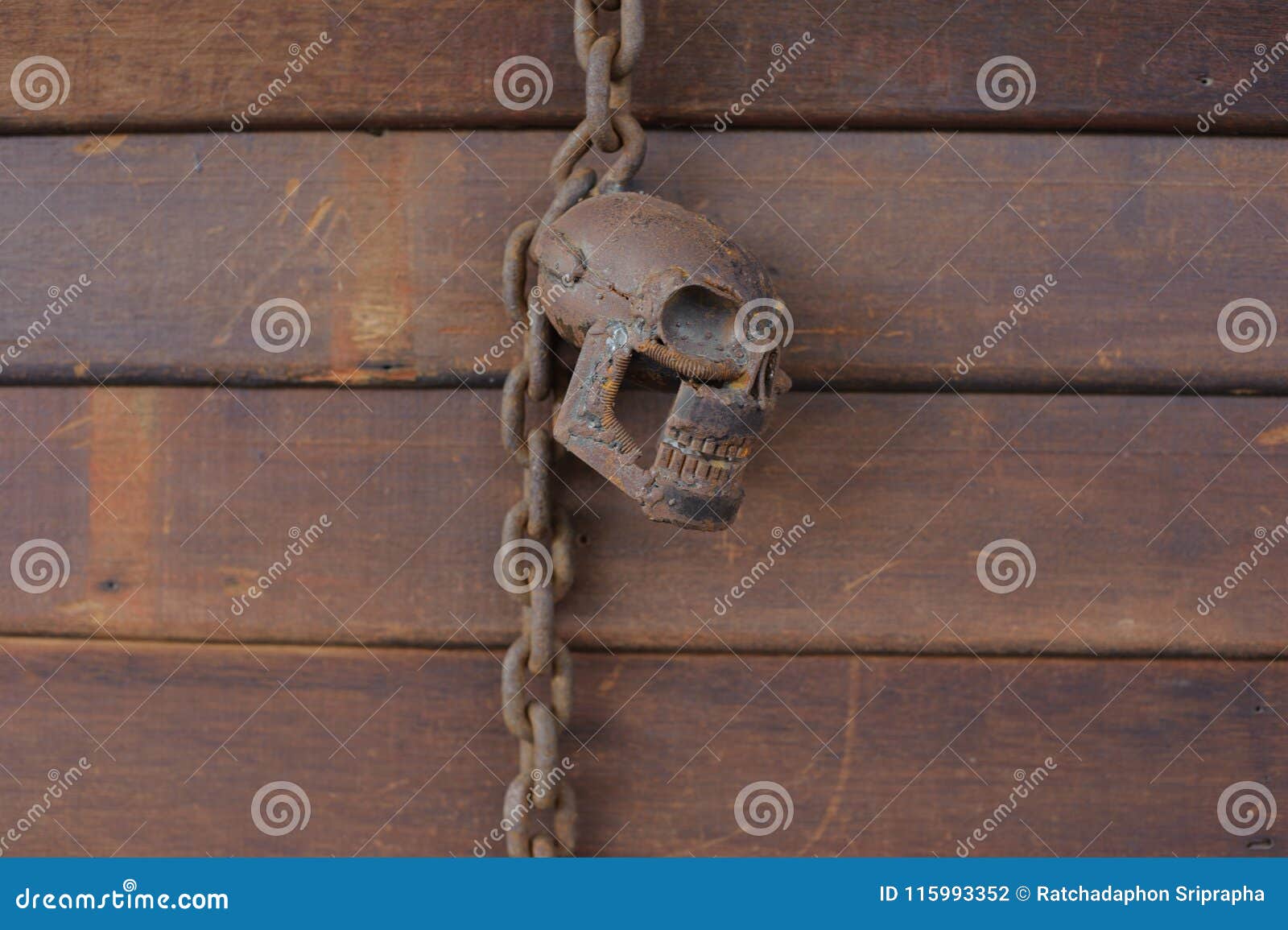 Rusty Skull with Rust Chain Hang on the Wood Wall Stock Photo - Image ...