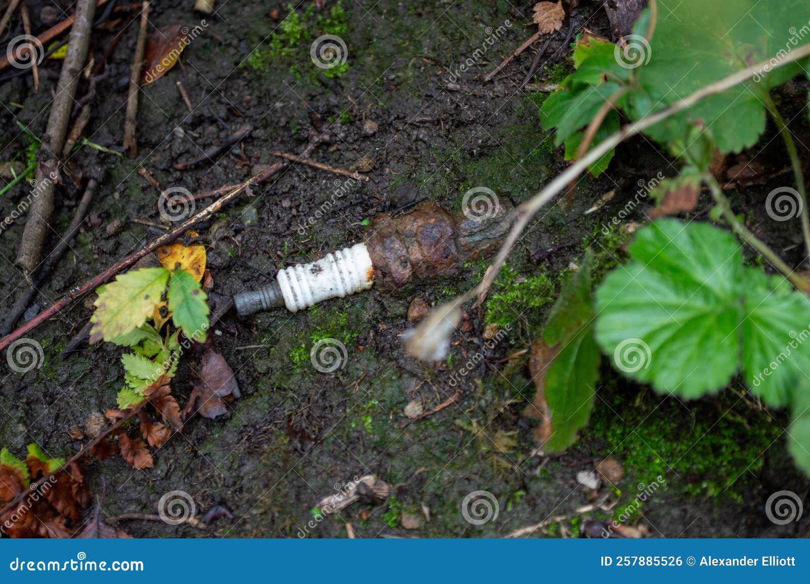 A Rusty Spark Plug on the Ground Stock Photo - Image of tree, forest ...