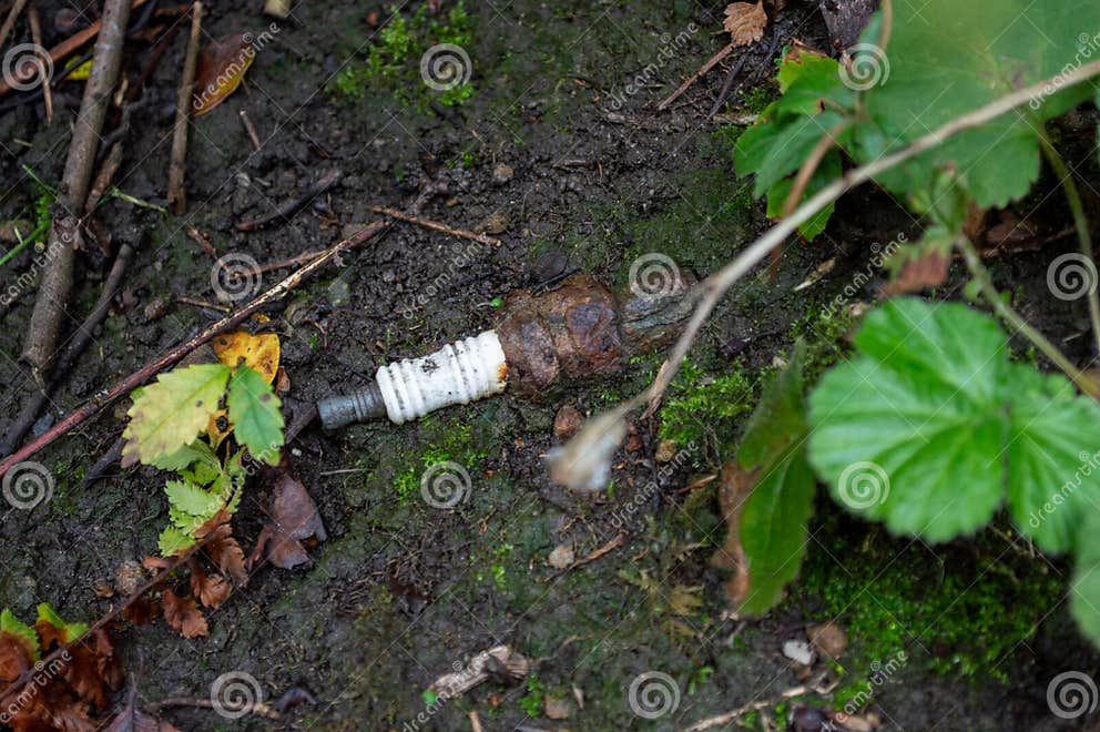 A Rusty Spark Plug on the Ground Stock Photo - Image of tree, forest ...