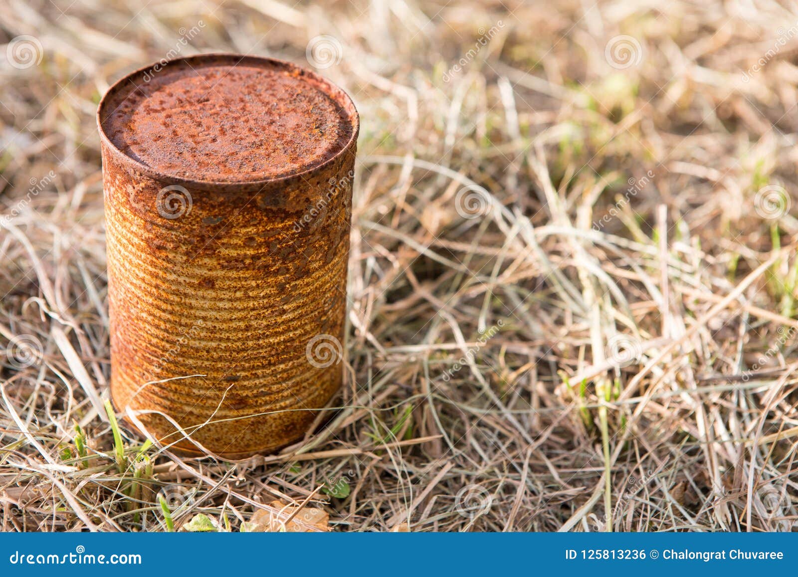 Rusty steel can stock photo. Image of pine, drink, light - 125813236