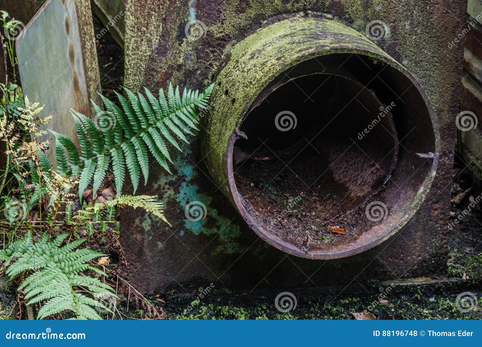Rusty tank and fern stock photo. Image of exploration - 88196748