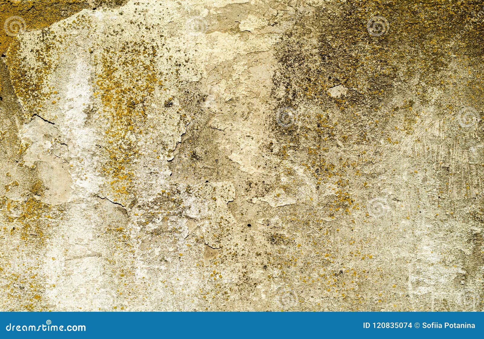 Texture Old Concrete Wall with Remnants of Plaster Stock Photo - Image ...