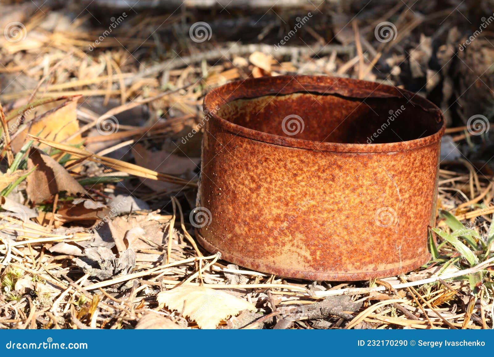 Rusty tin can stock photo. Image of potting, organic - 232170290