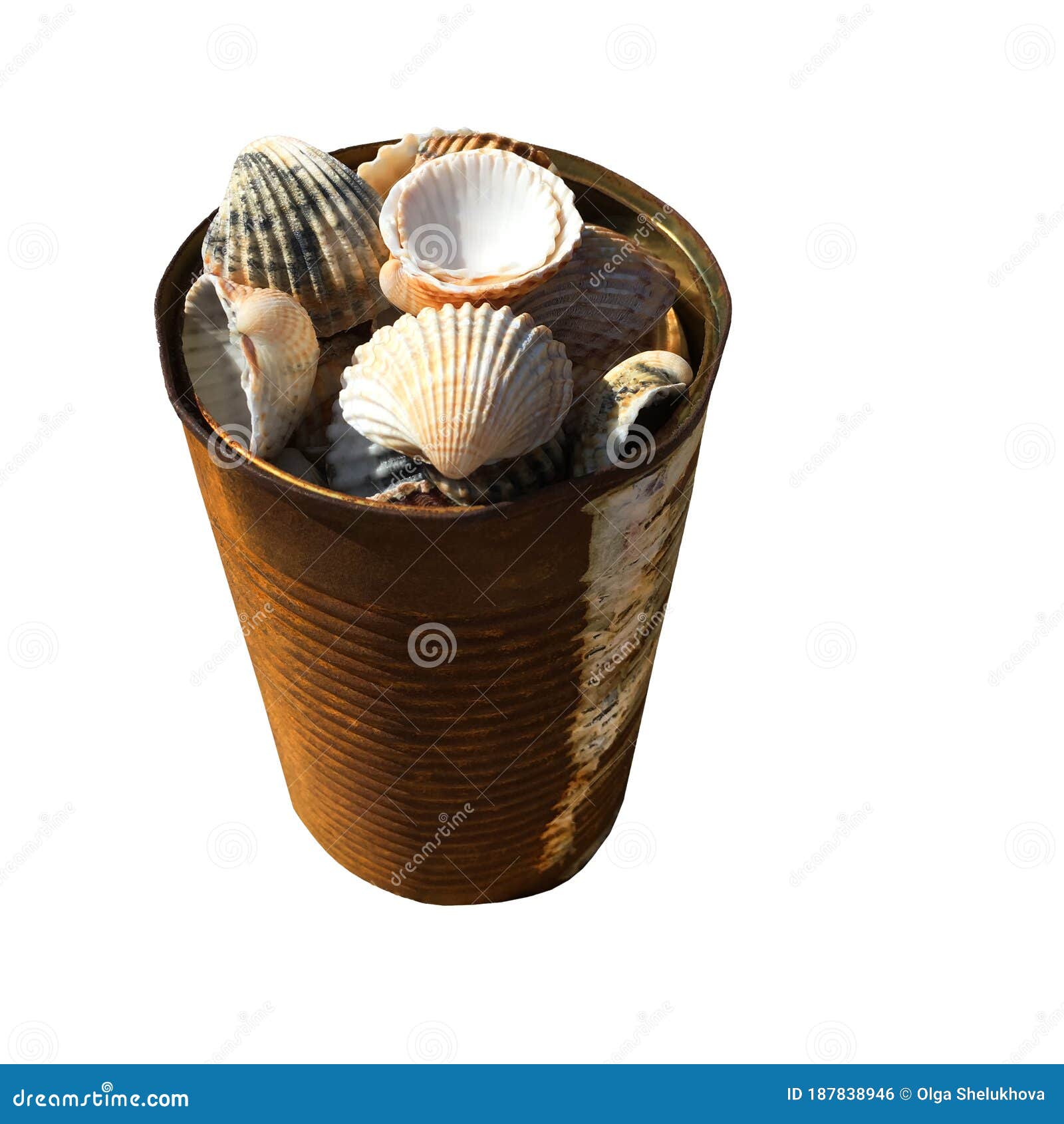 Rusty Tin Can with Shells Inside Stock Illustration - Illustration of ...