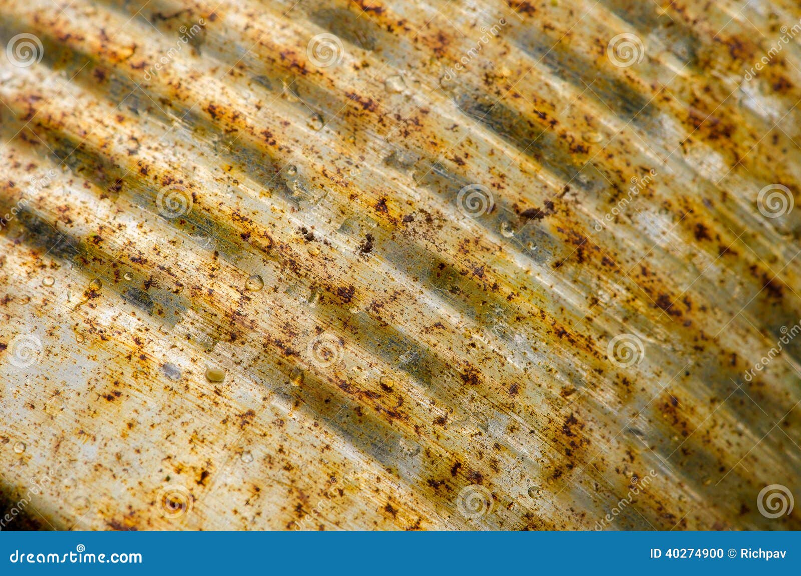Rusty tin texture stock photo. Image of metallic, dirty - 40274900