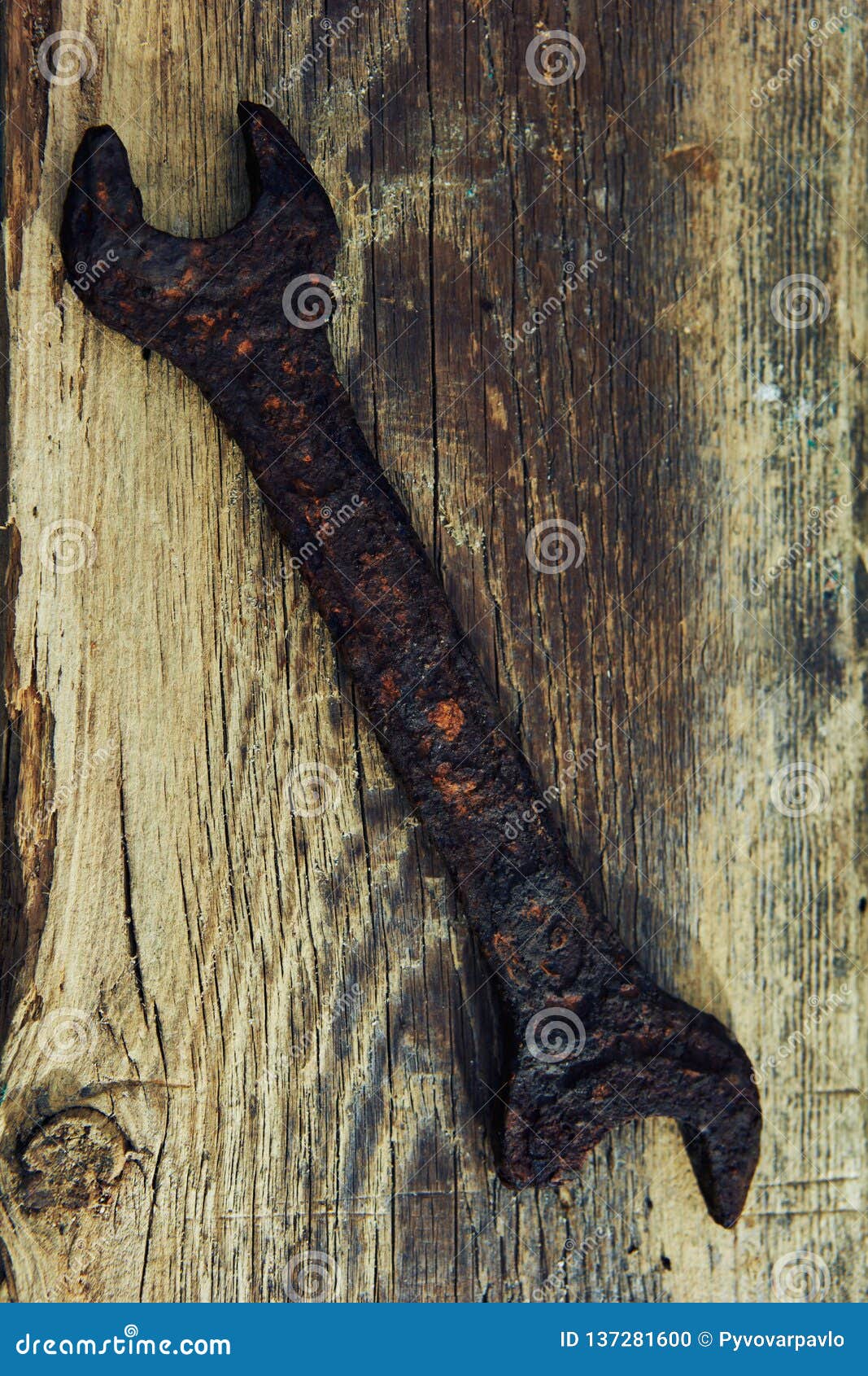 Rusty tools stock photo. Image of text, rusty, collection - 137281600