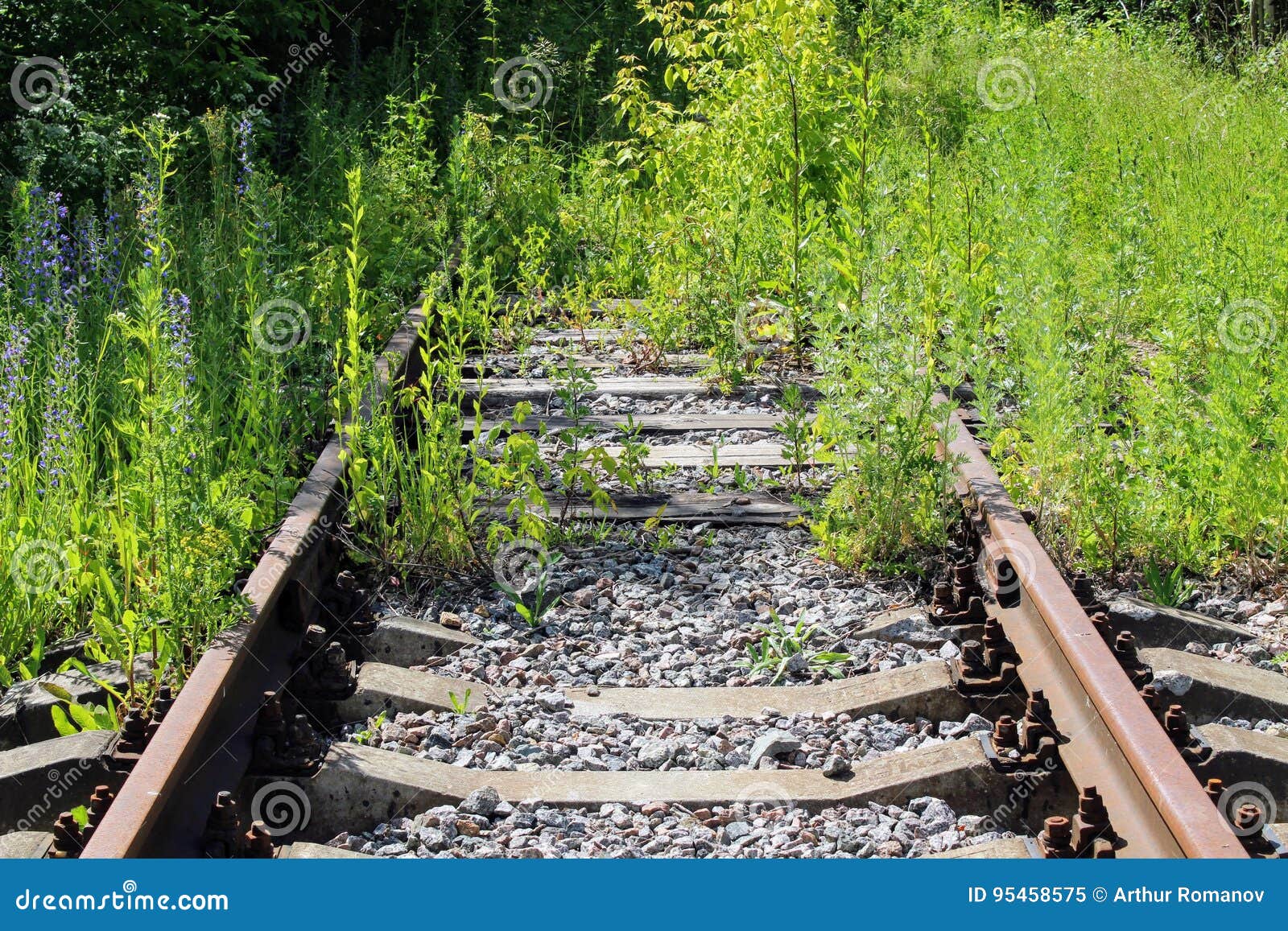 Rusty track rails. stock image. Image of outdoors, scenics - 95458575