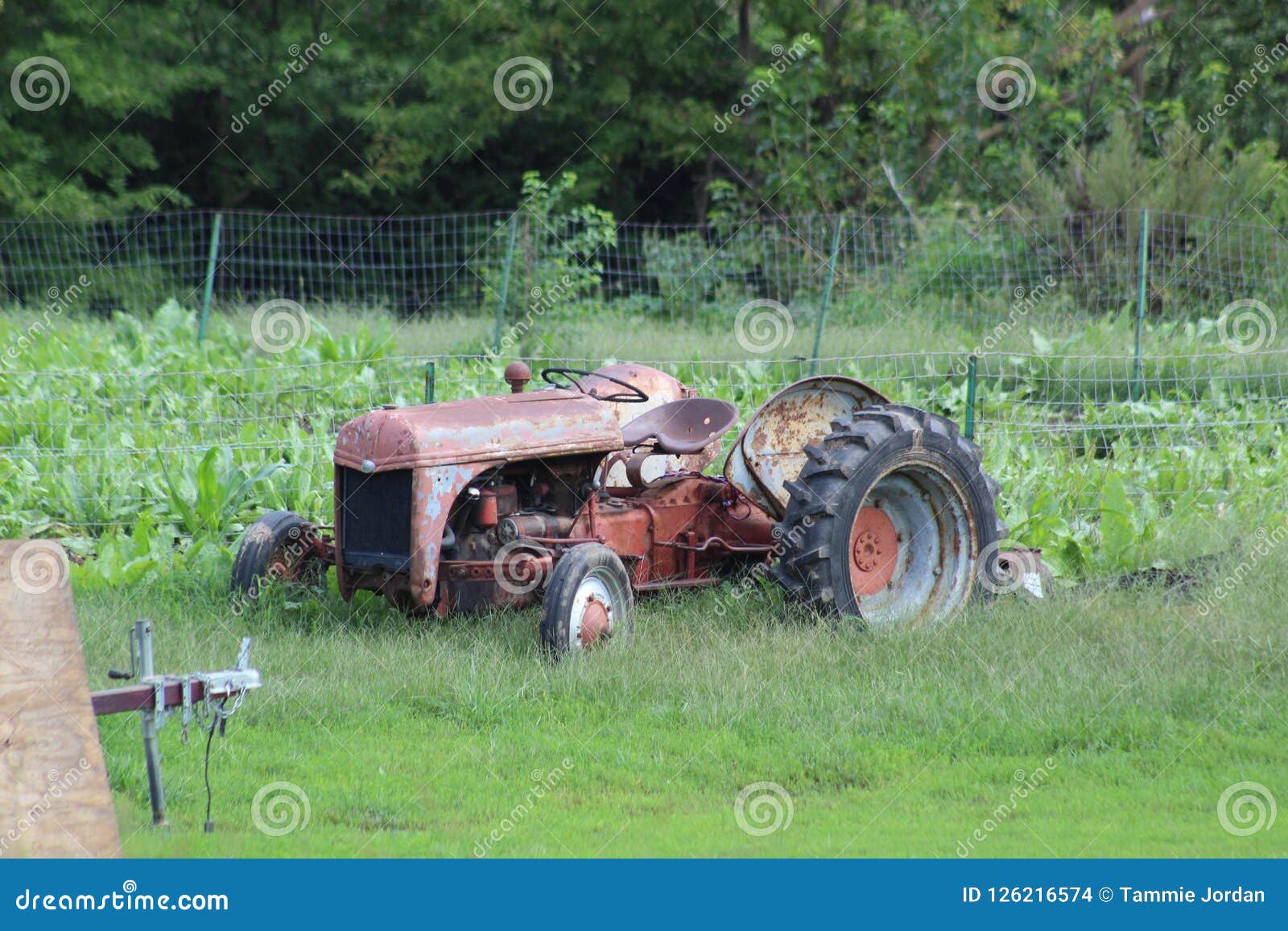 Rusty Tractor by the Garden Stock Photo - Image of rusty, garden: 126216574