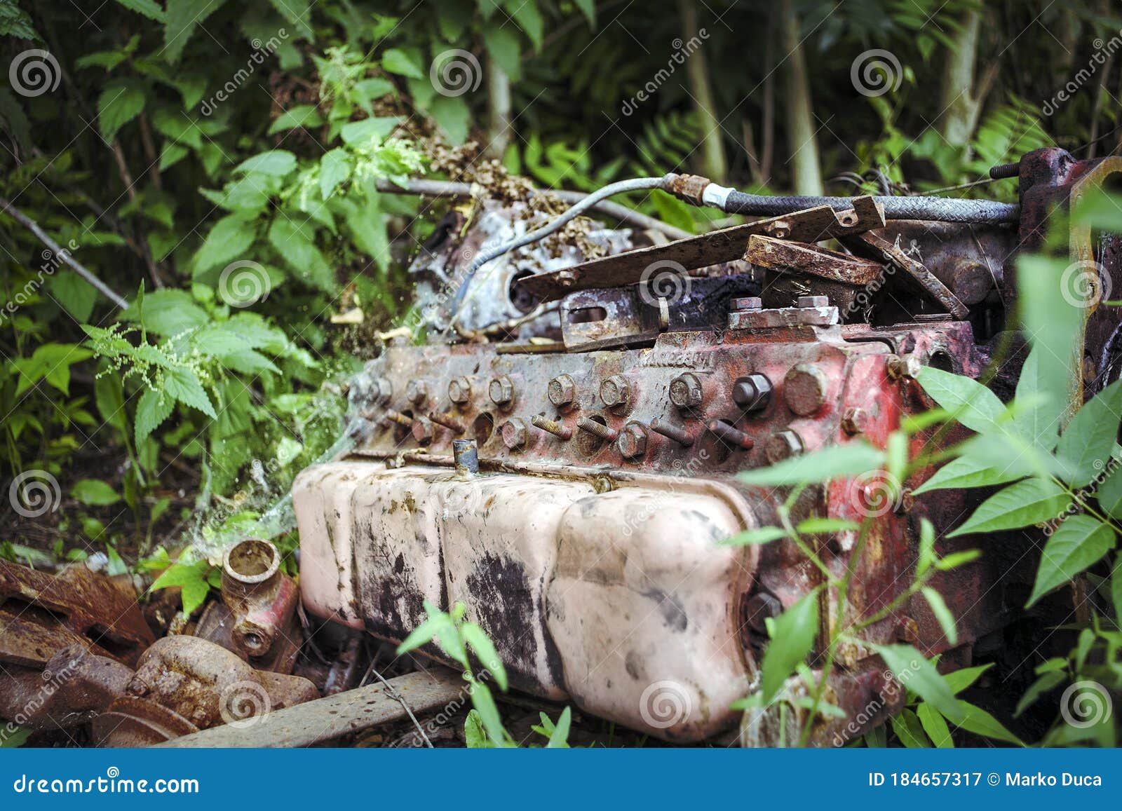 Rusty Truck Engine in the Forest. Stock Image - Image of head, leafs ...
