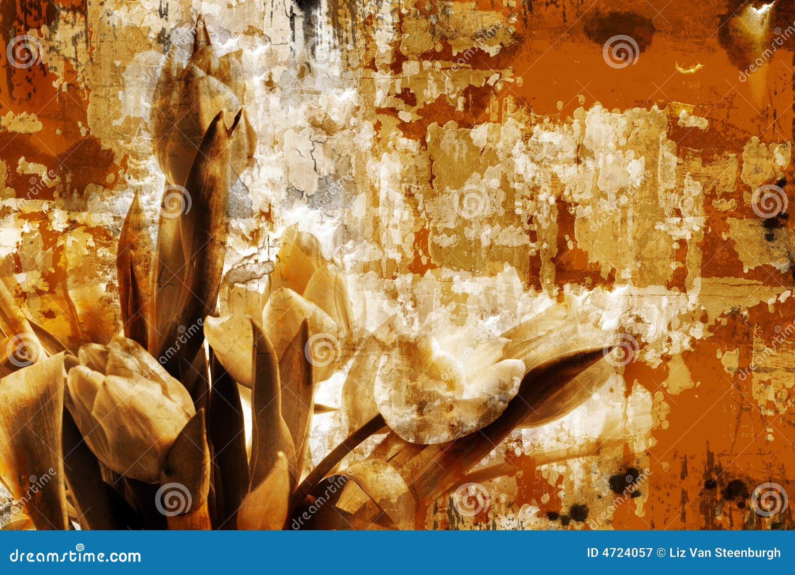 Rusty Tulip Grunge stock illustration. Illustration of cracks - 4724057