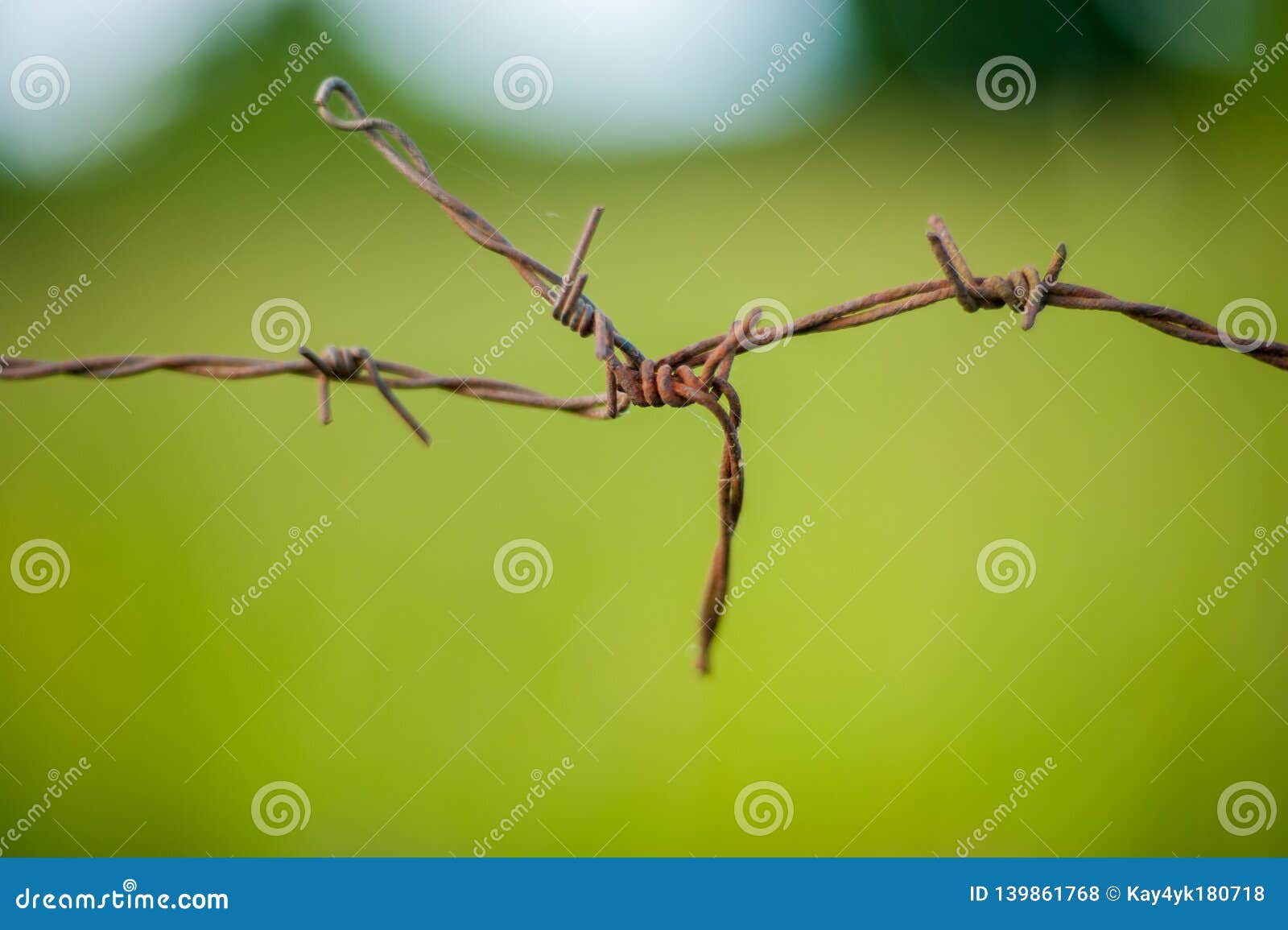 Rusty Twisted Wire on a Green Background Stock Photo - Image of design ...