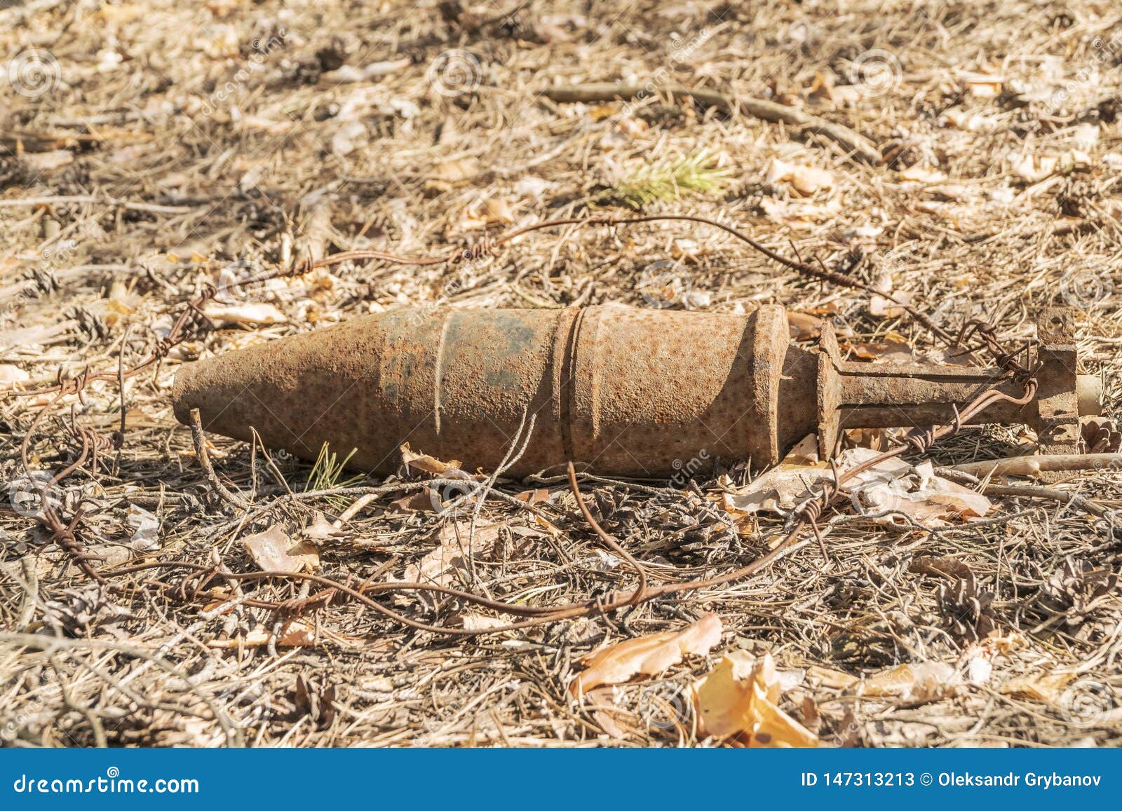 Rusty Unexploded Artillery Bullet Shell, World War II Stock Image ...
