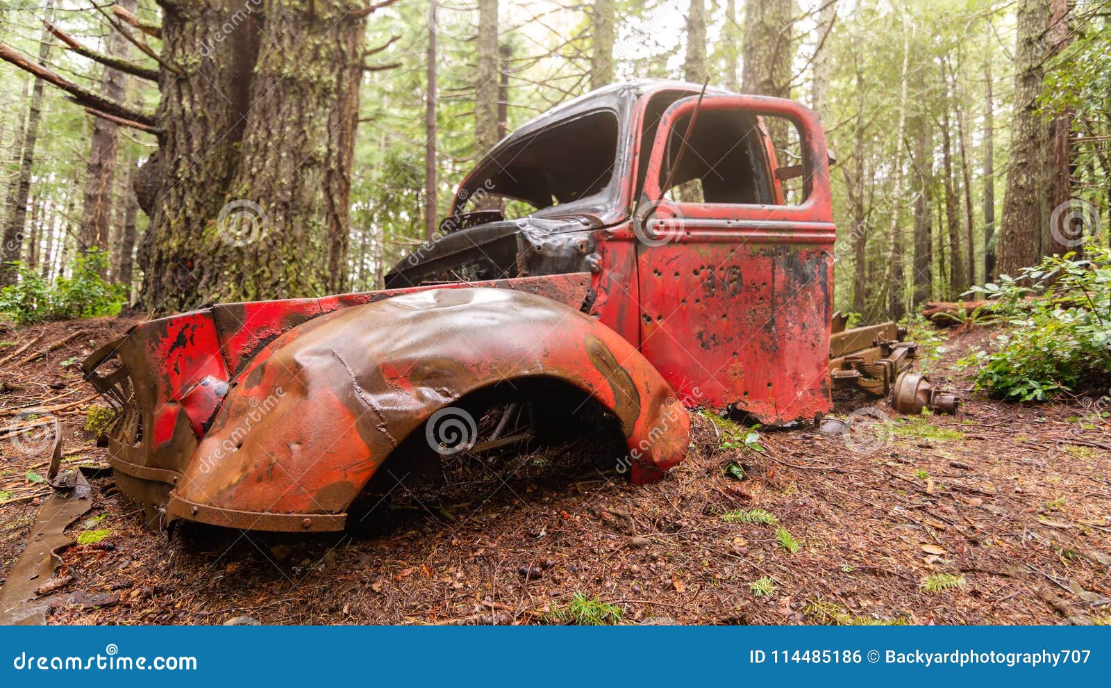 Rusty Vehicle in the Forest Stock Photo - Image of rusted, destroyed ...