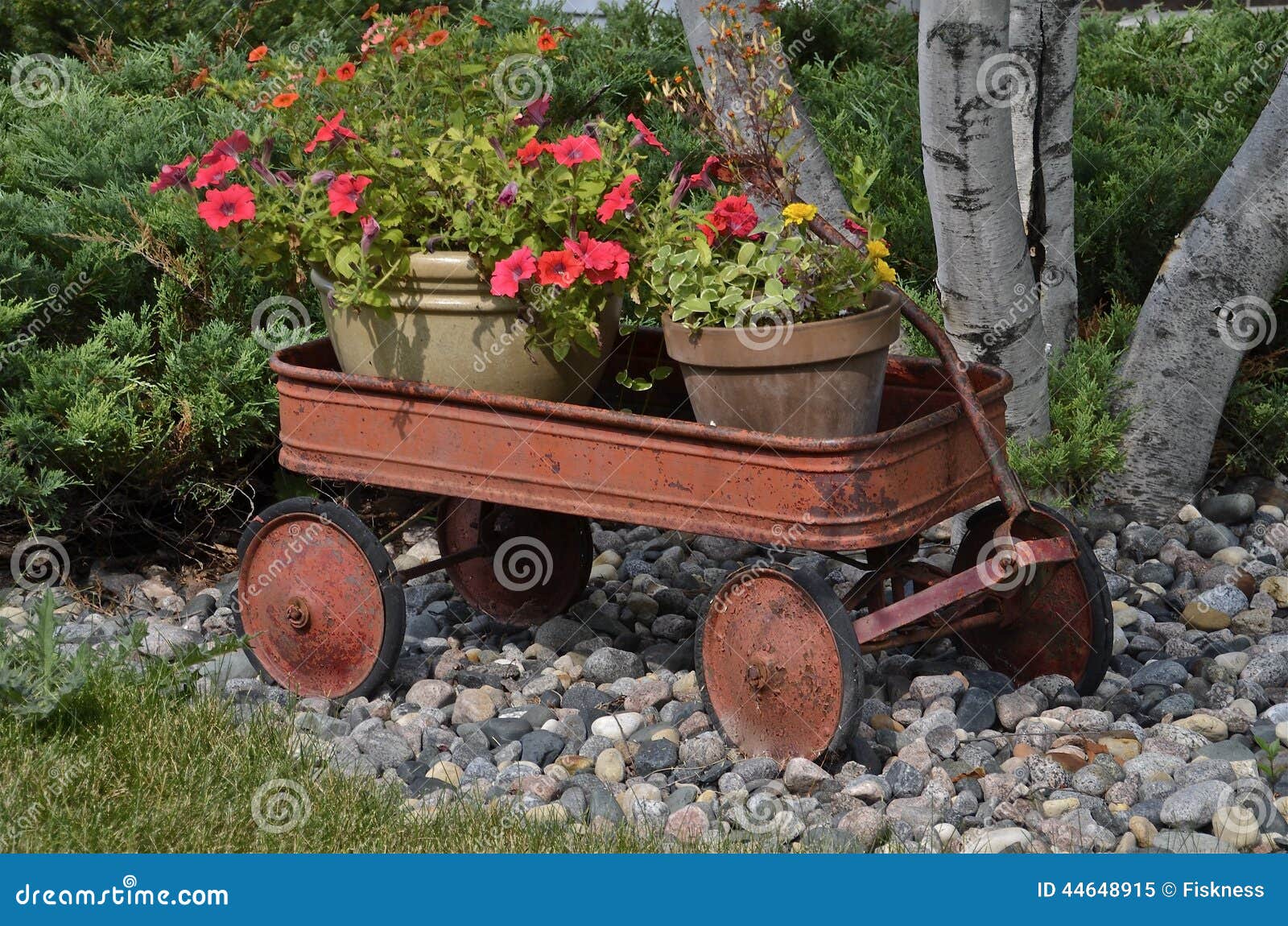 Rusty Wagon with Pots of Flowers Stock Image - Image of flowers, wagon ...