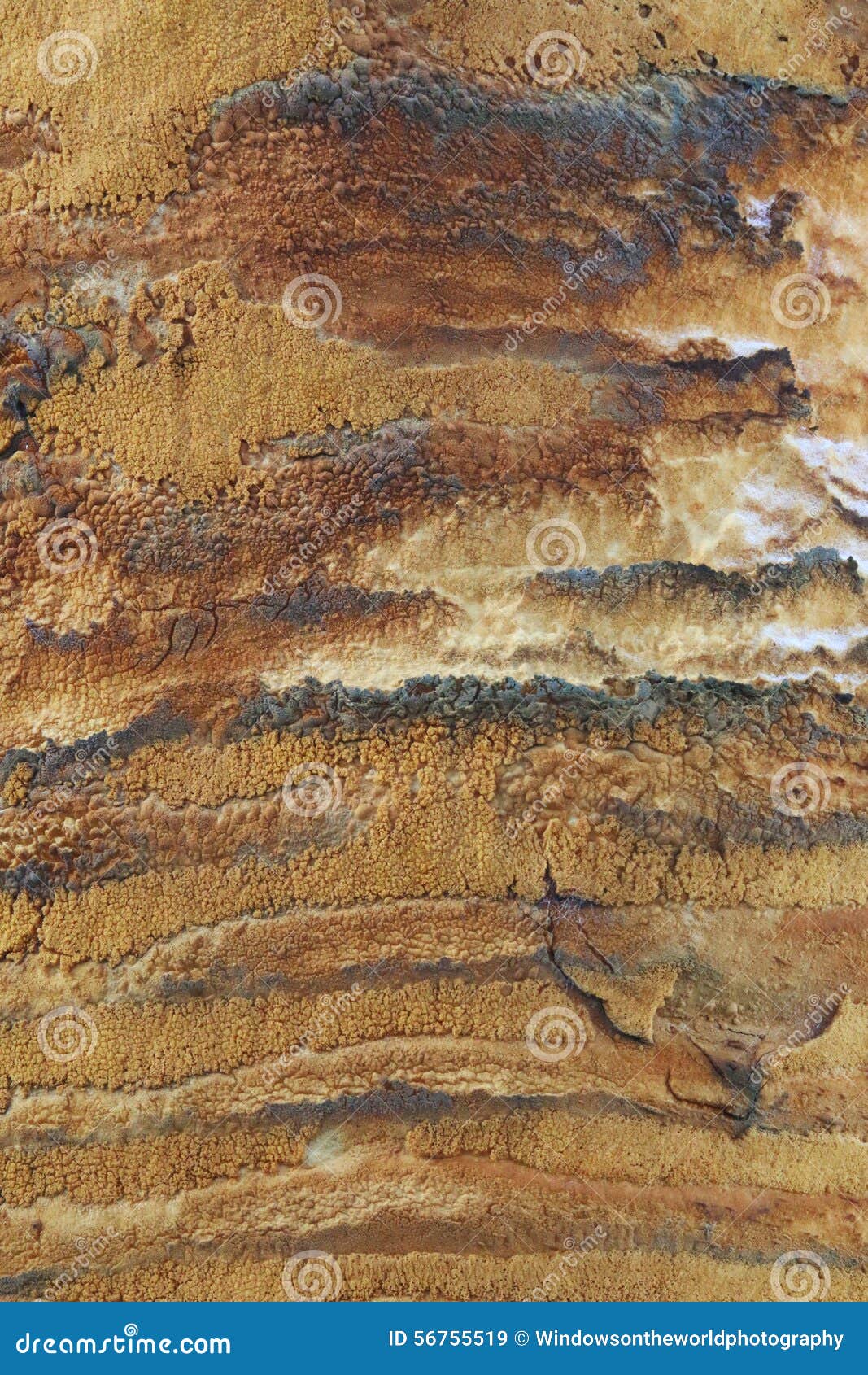 Rusty Water Cylinder stock image. Image of cylinder, rust - 56755519