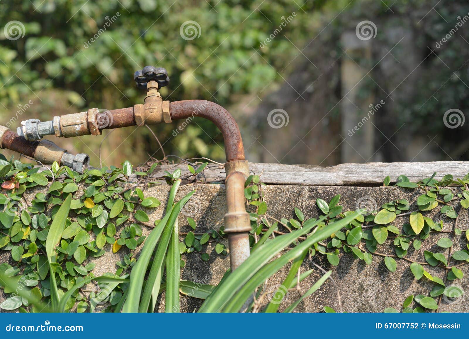 Rusty water tap stock photo. Image of metal, outdoor - 67007752