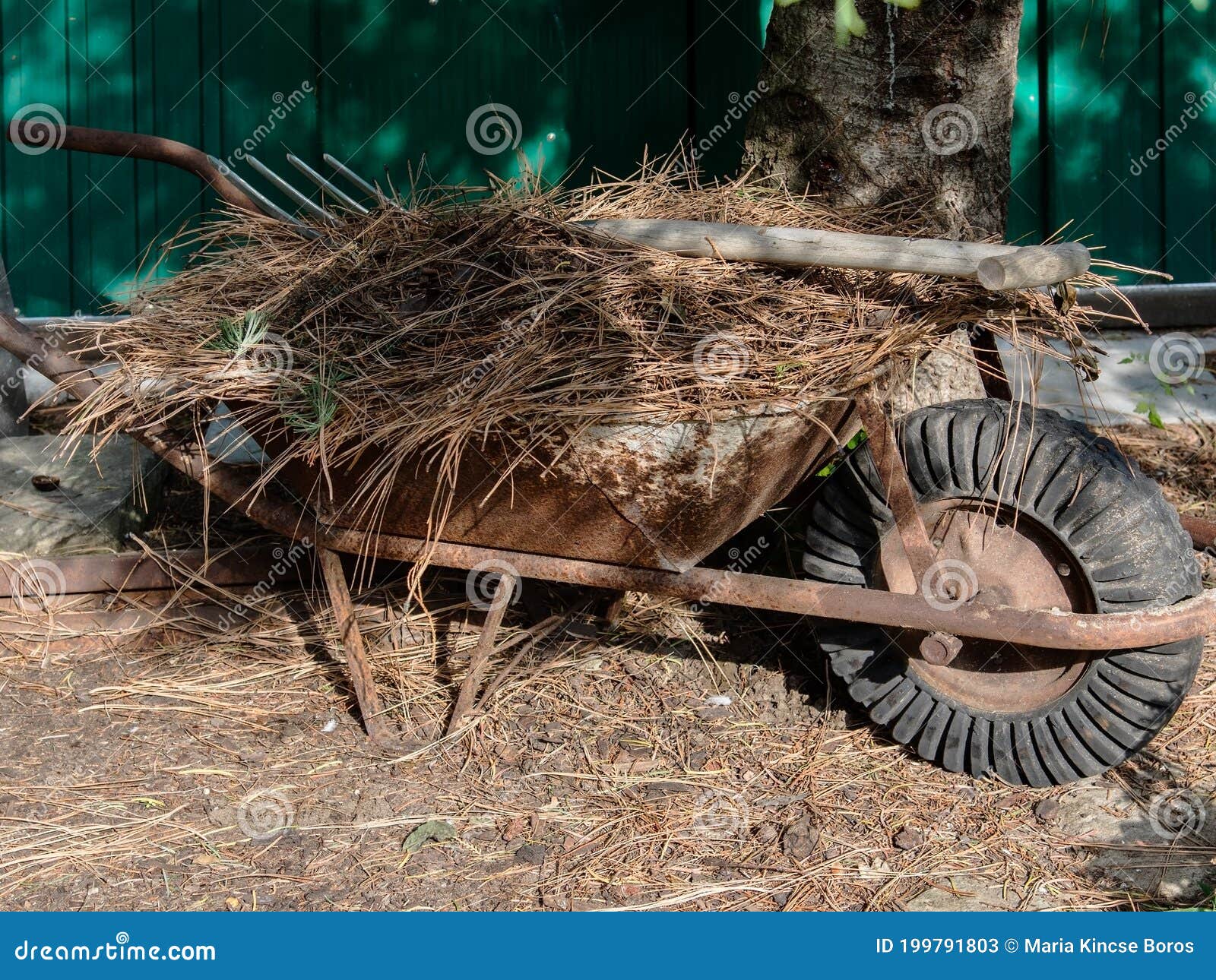 Rusty Wheelbarrow in the Garden Stock Image - Image of background ...