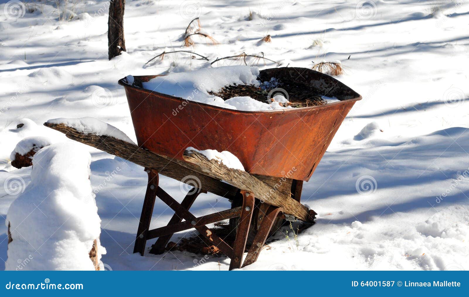Rusty Wheelbarrow in the Snow Stock Image - Image of snowy, rusting ...