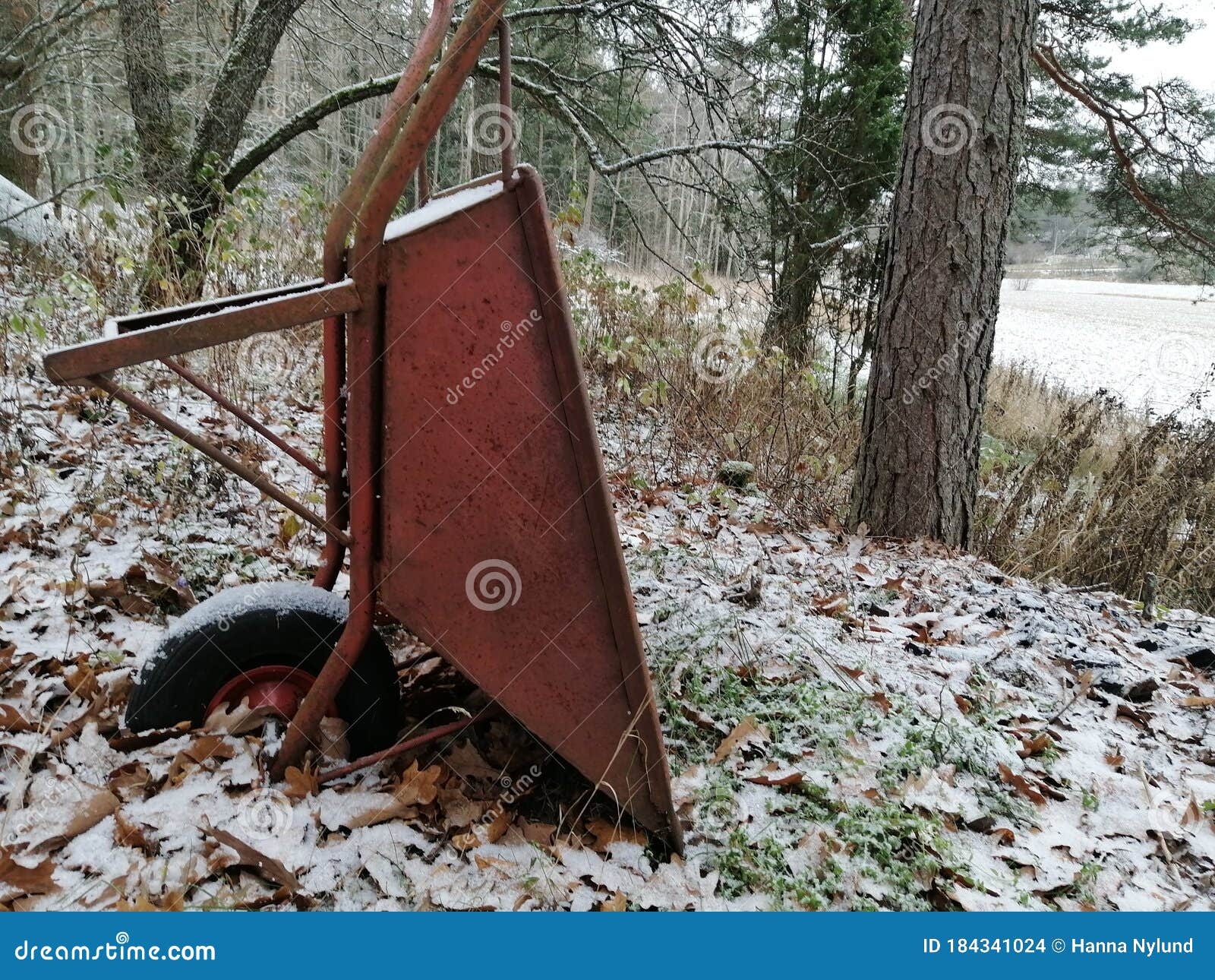 Rusty wheelbarrow stock photo. Image of wintertime, wheelbarrow - 184341024