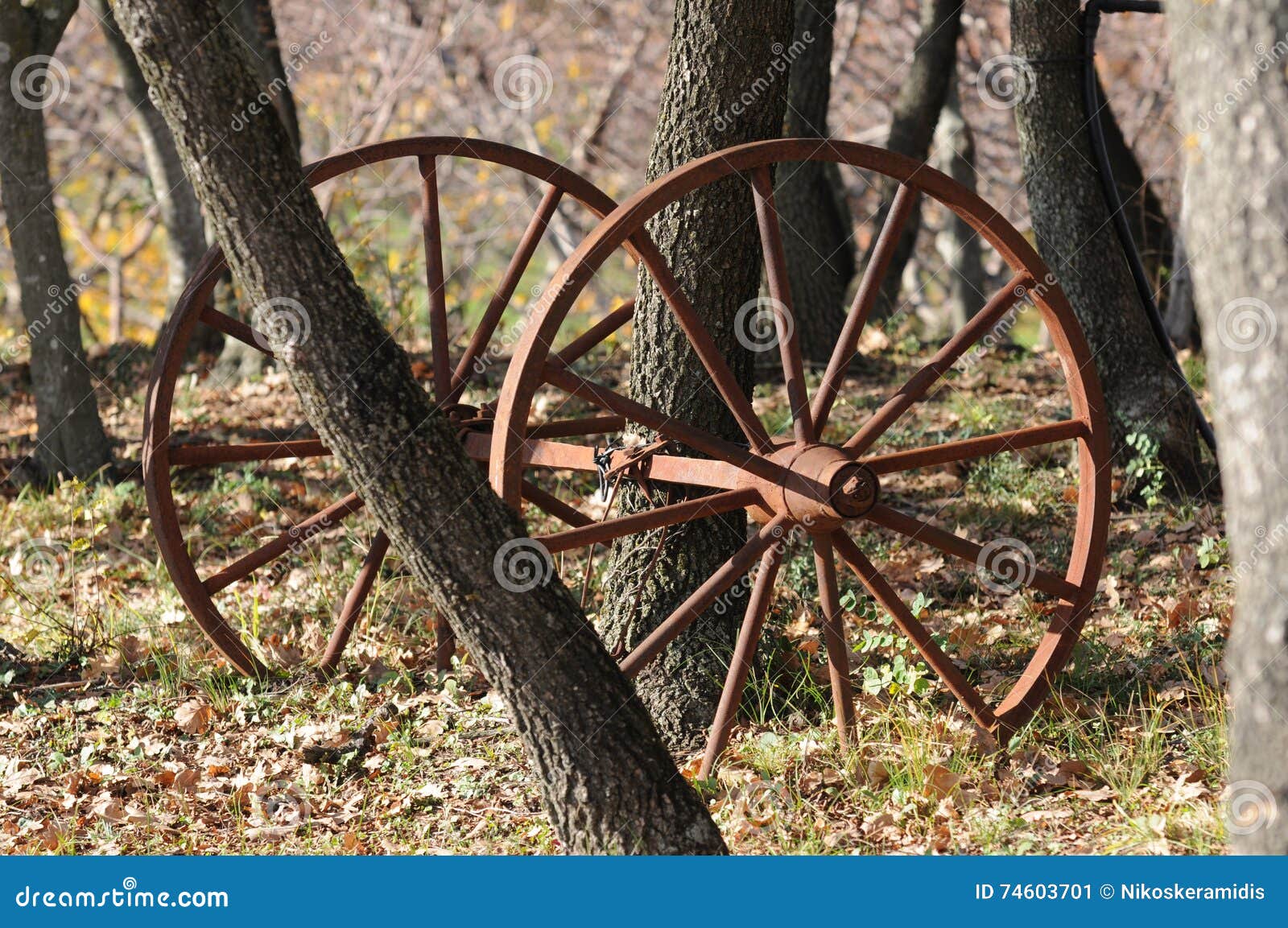 Rusty Wheels Old Wagon in Forest Stock Image - Image of nice, forest ...