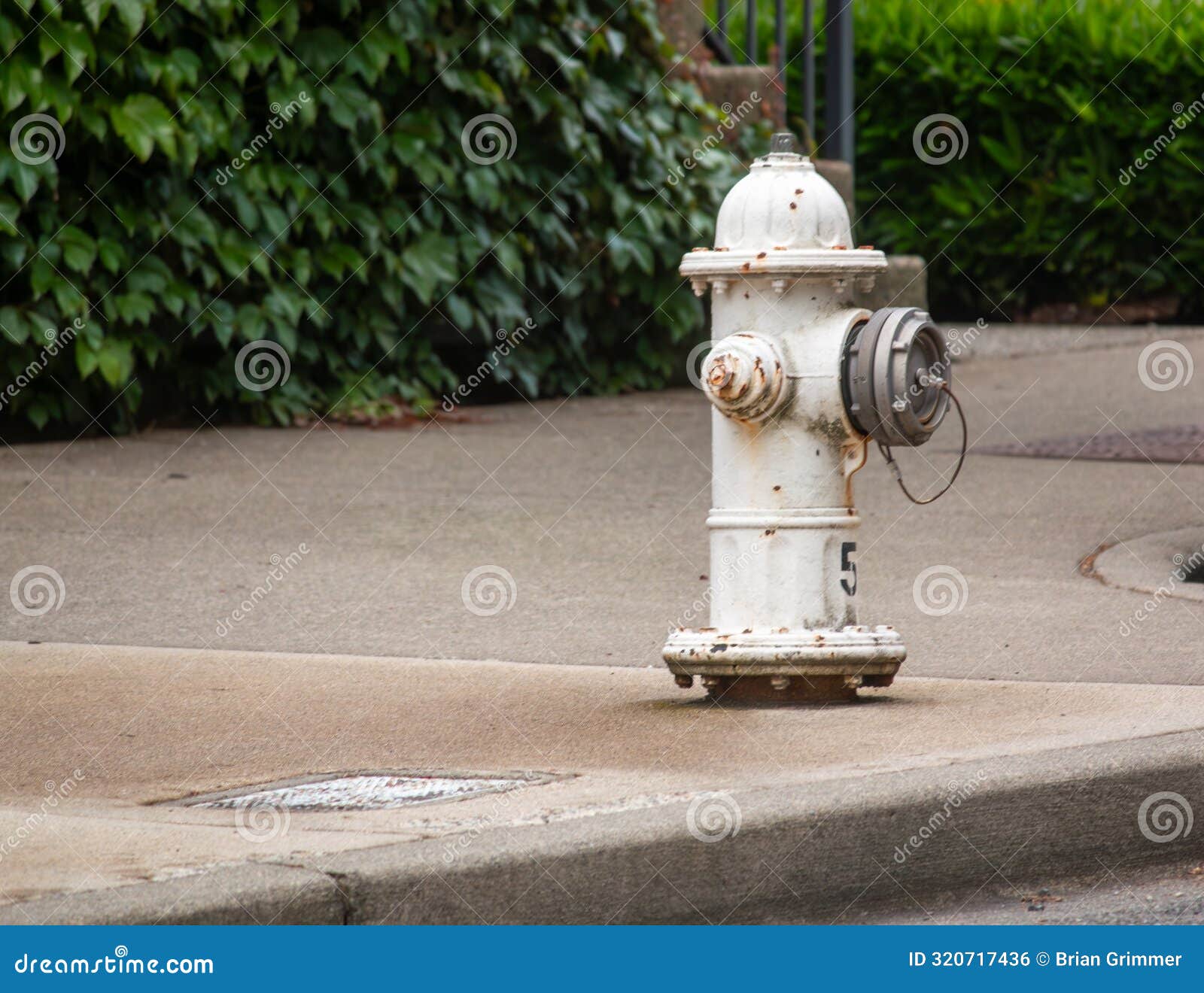 A rusty white fire hydrant stock photo. Image of water - 320717436