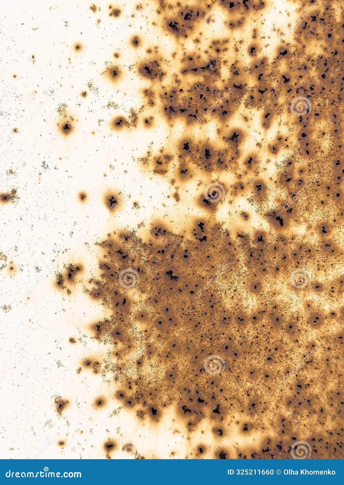 Old Rusty White Painted Wood Texture Seamless Rusty Grunge Background ...