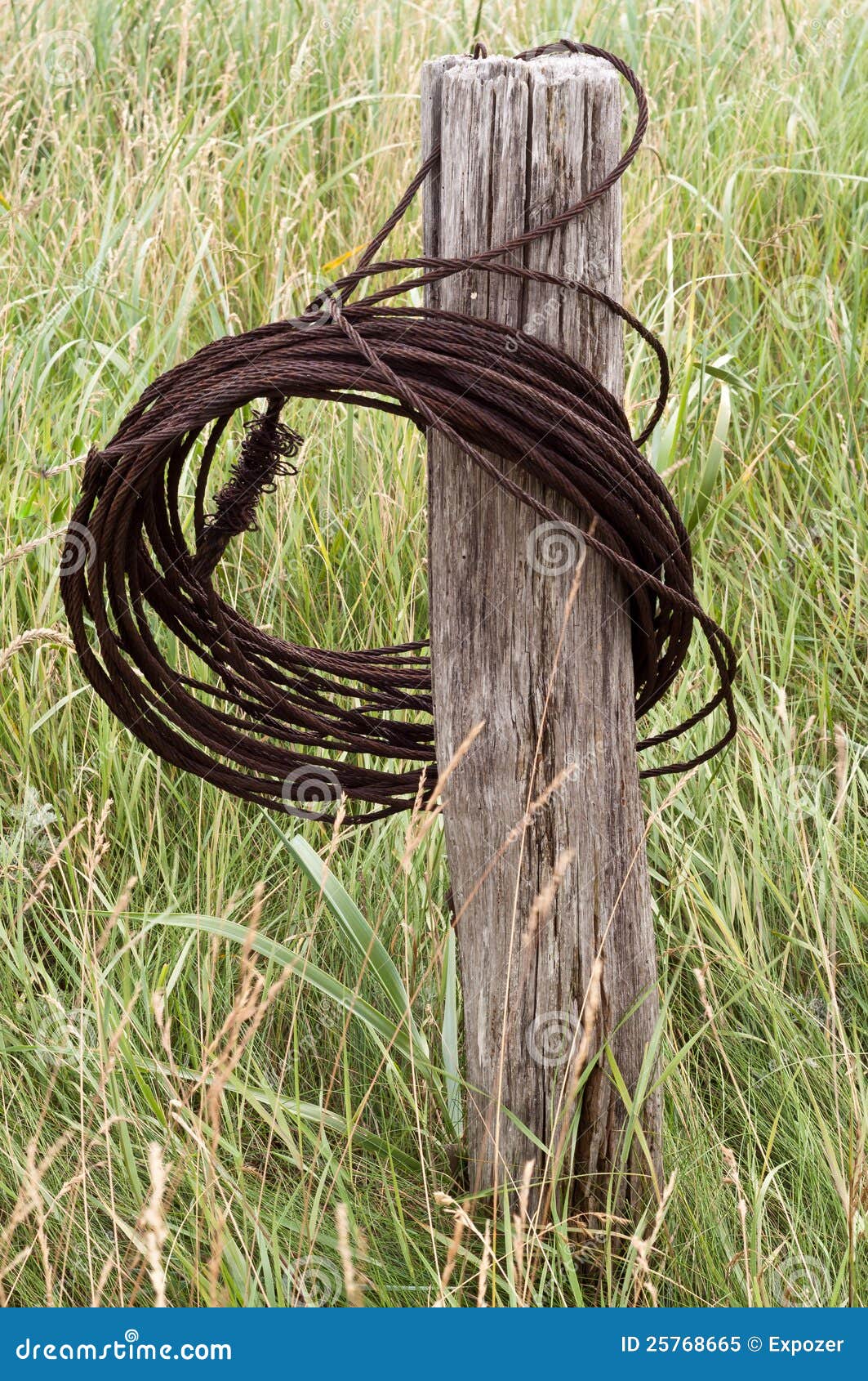 Rusty Wire Rope Sling Isolated On White Background Stock Photo ...