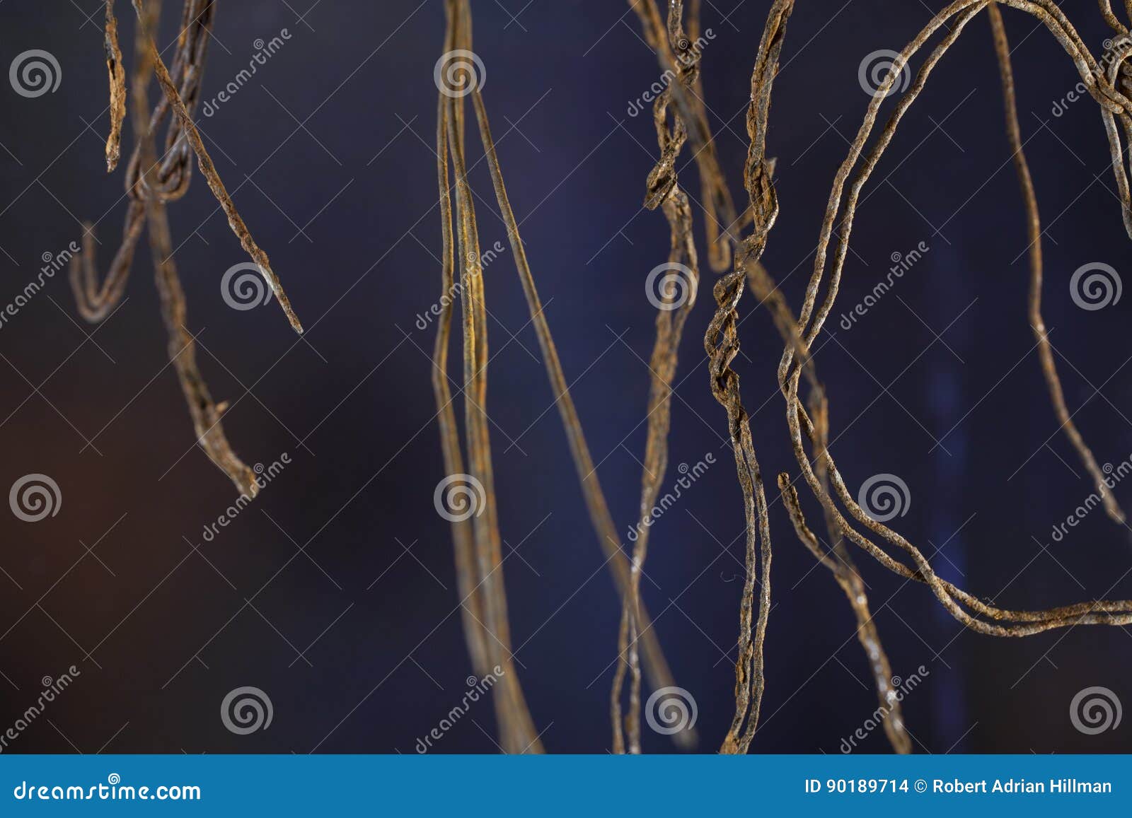 Rusty wire composition stock photo. Image of wire, metal - 90189714