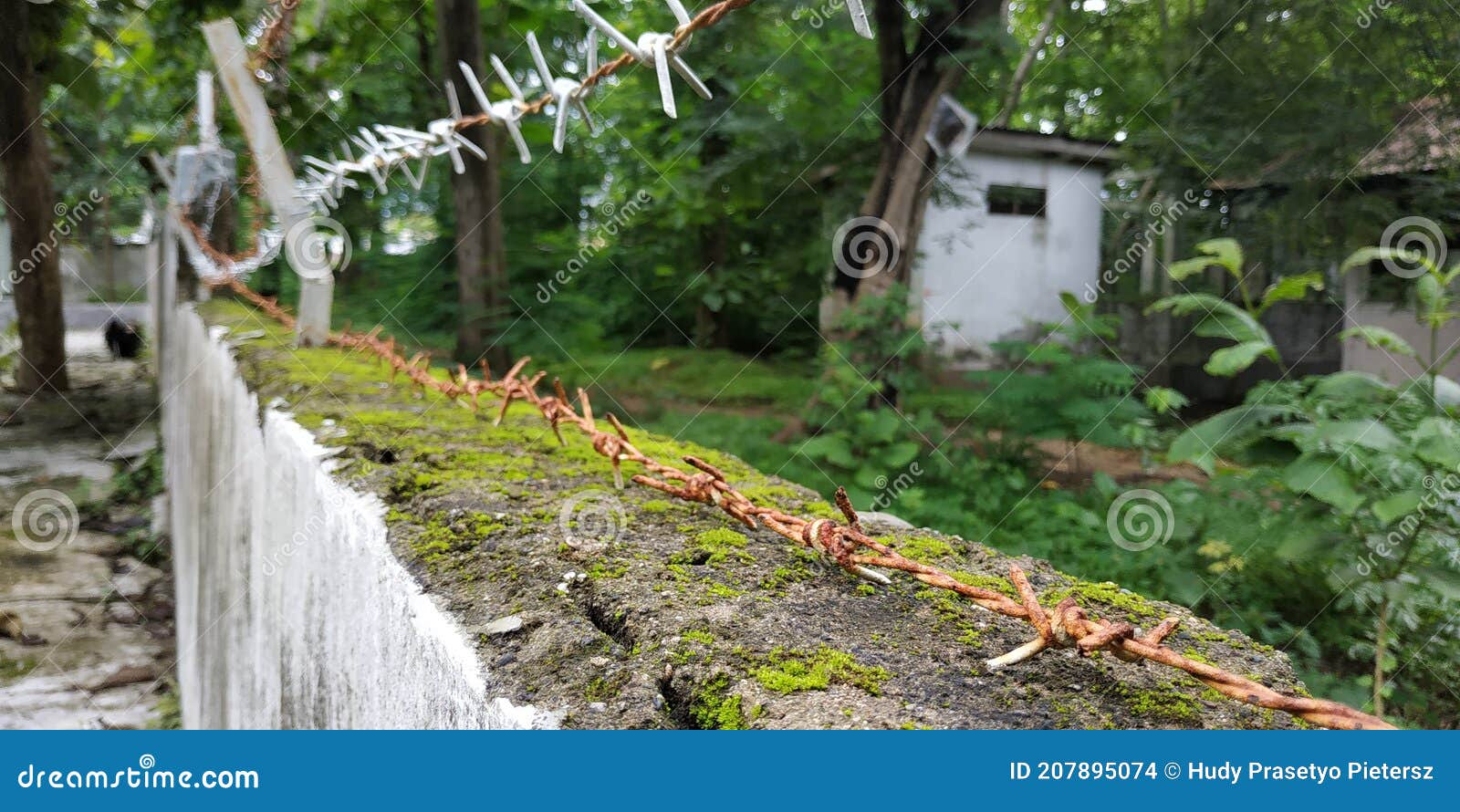 A rusty wire fence stock photo. Image of leaf, fence - 207895074