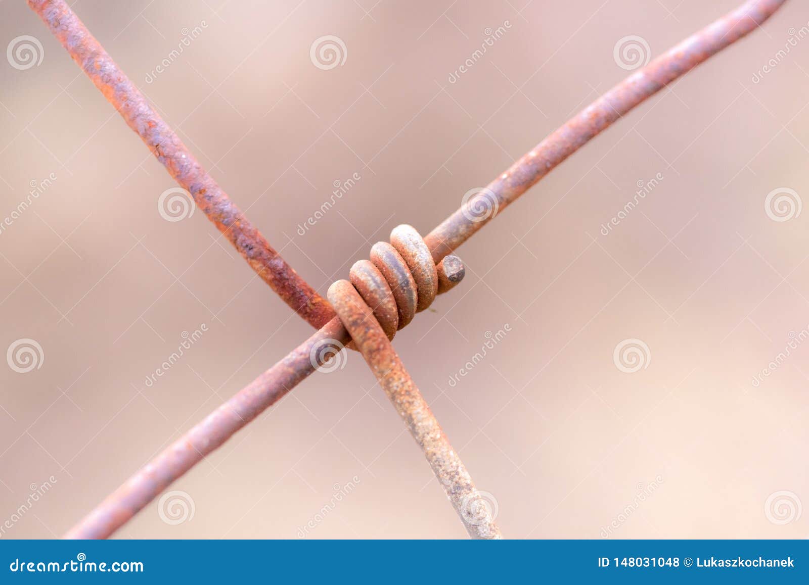 Rusty Wire Isolated on Bright Background Stock Photo - Image of macro ...