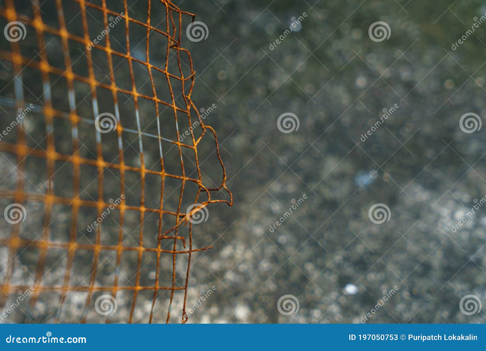 Rusty wire mesh stock image. Image of micro, mesh, distort - 197050753