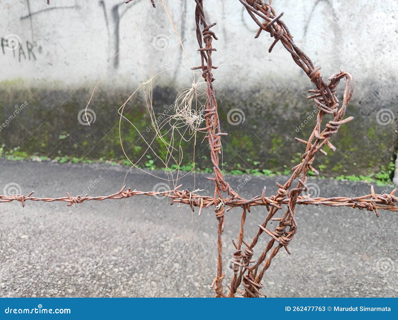 Rusty wire with old thread stock image. Image of thread - 262477763