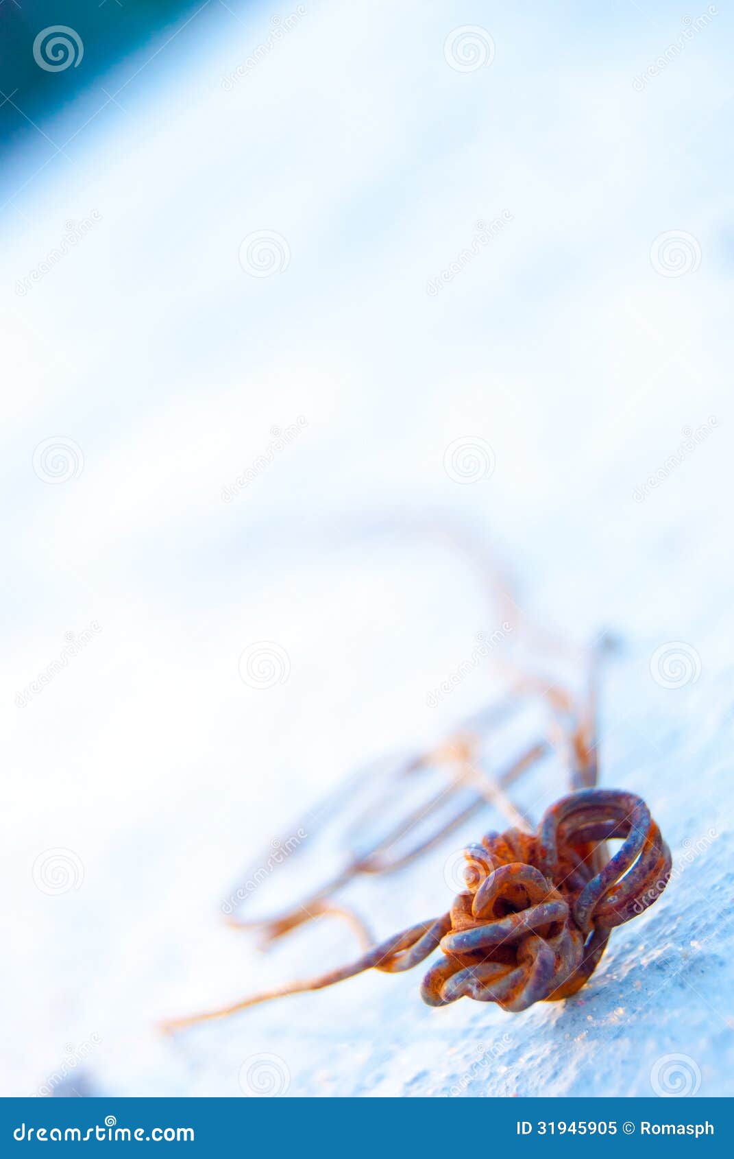 Rusty wire stock image. Image of cable, barbed, barbwire - 31945905