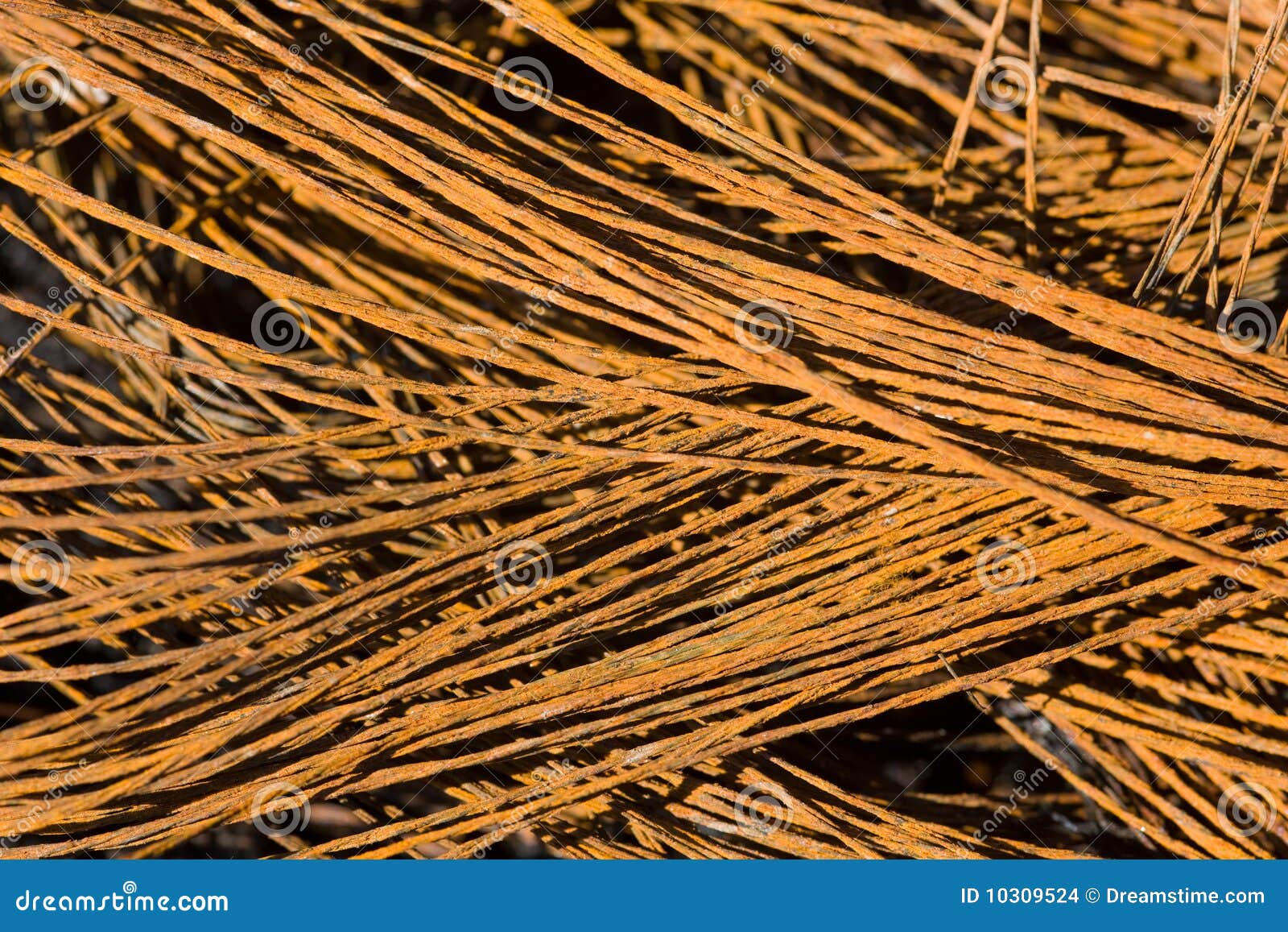 Rusty wires stock photo. Image of rough, damage, rust - 10309524
