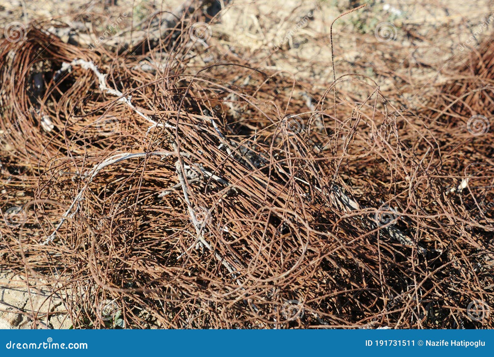 Rusty Wires Lying In A Mess On The Ground Construction Site. Concrete ...