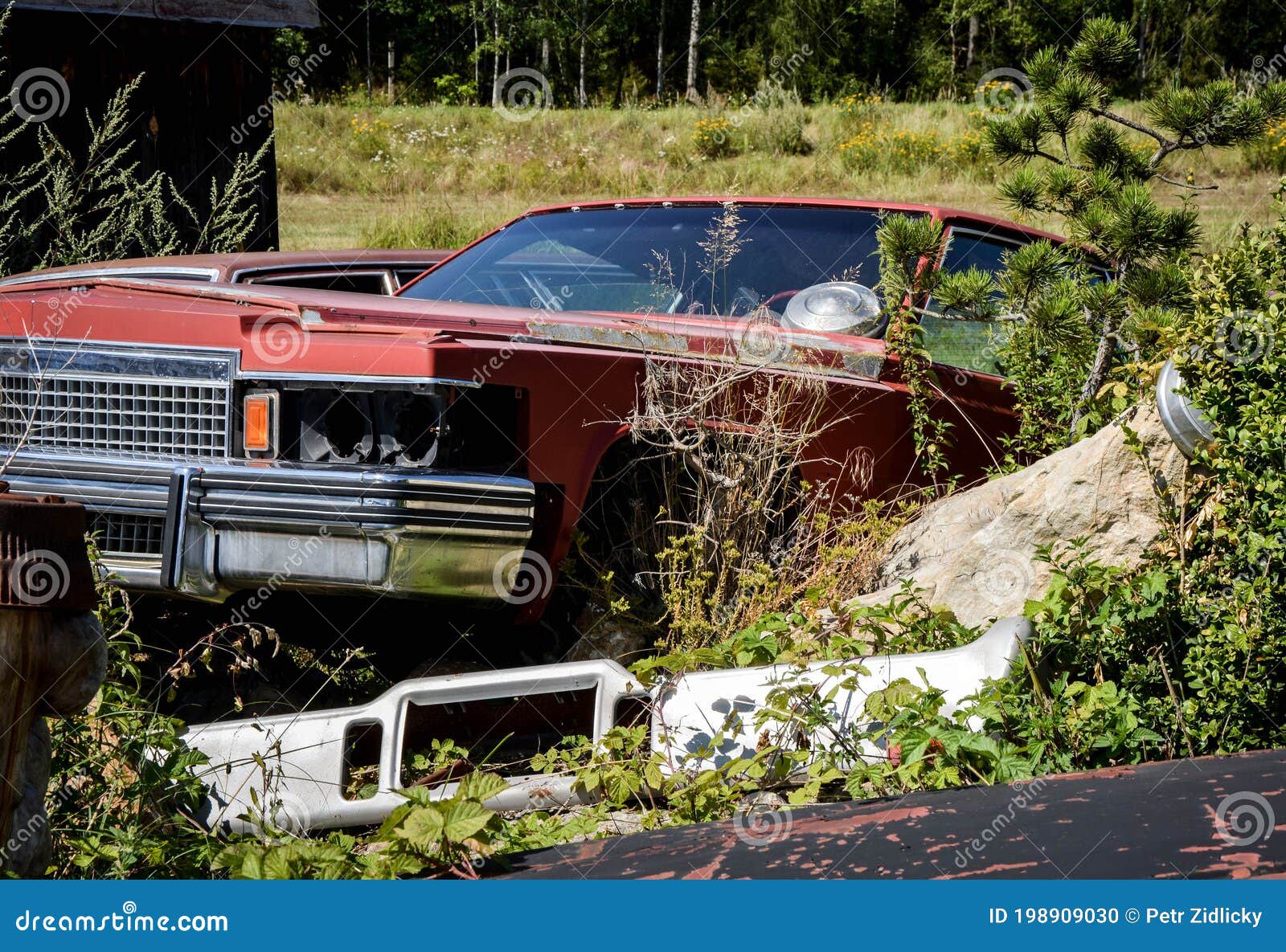 Rusty Wreck Of A Vintage Old Cart Stuck In The Overgrown Ground With ...