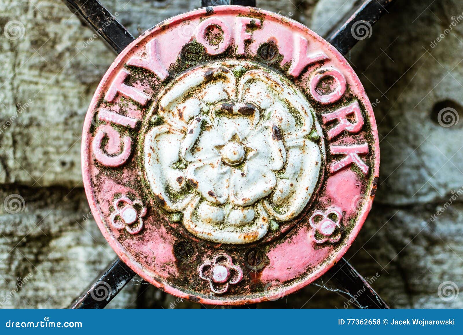 Rusty York Rose stock photo. Image of architecture, blur - 77362658