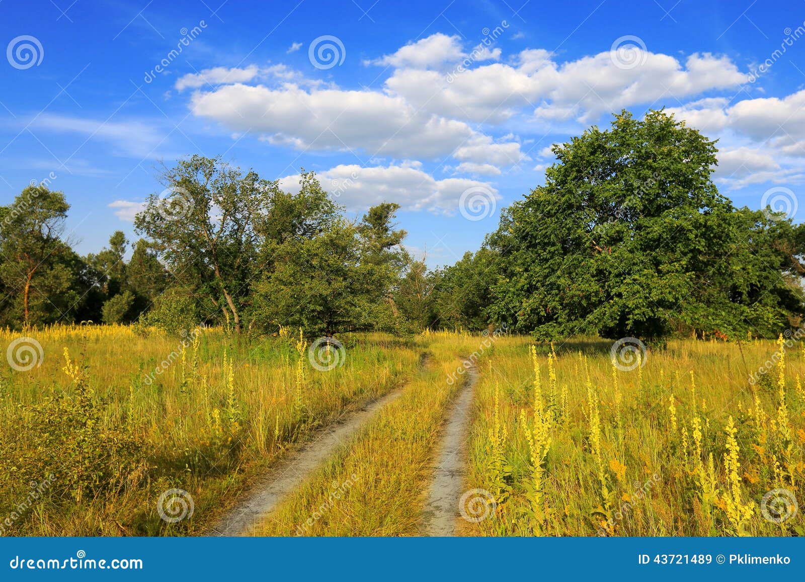 Rut road stock image. Image of herb, landscape, leaf - 43721489