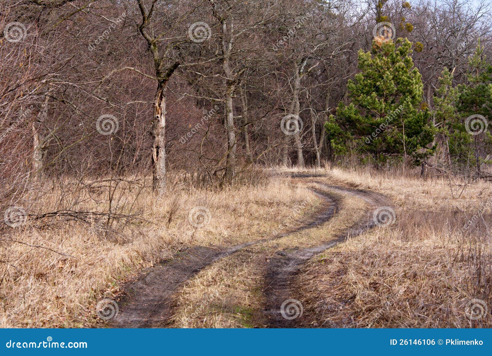 Rut road in forest stock photo. Image of country, field - 26146106