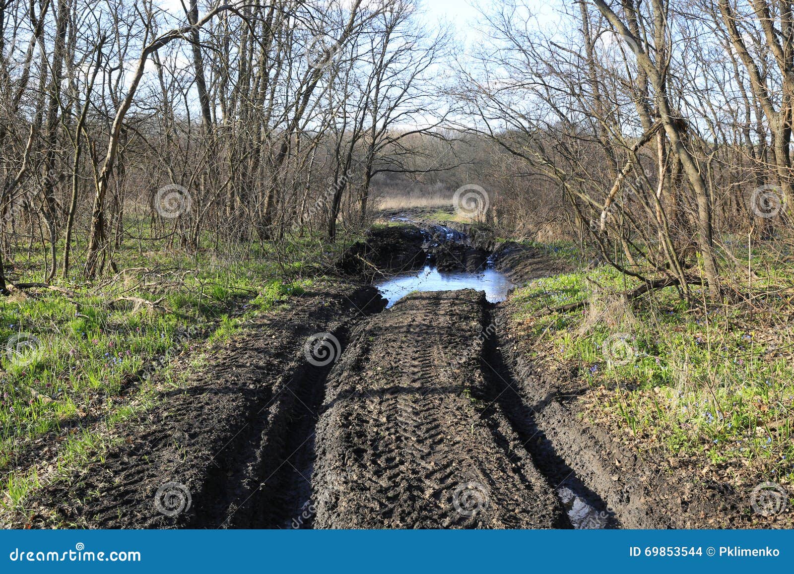 Rut road in forest stock photo. Image of foliage, season - 69853544