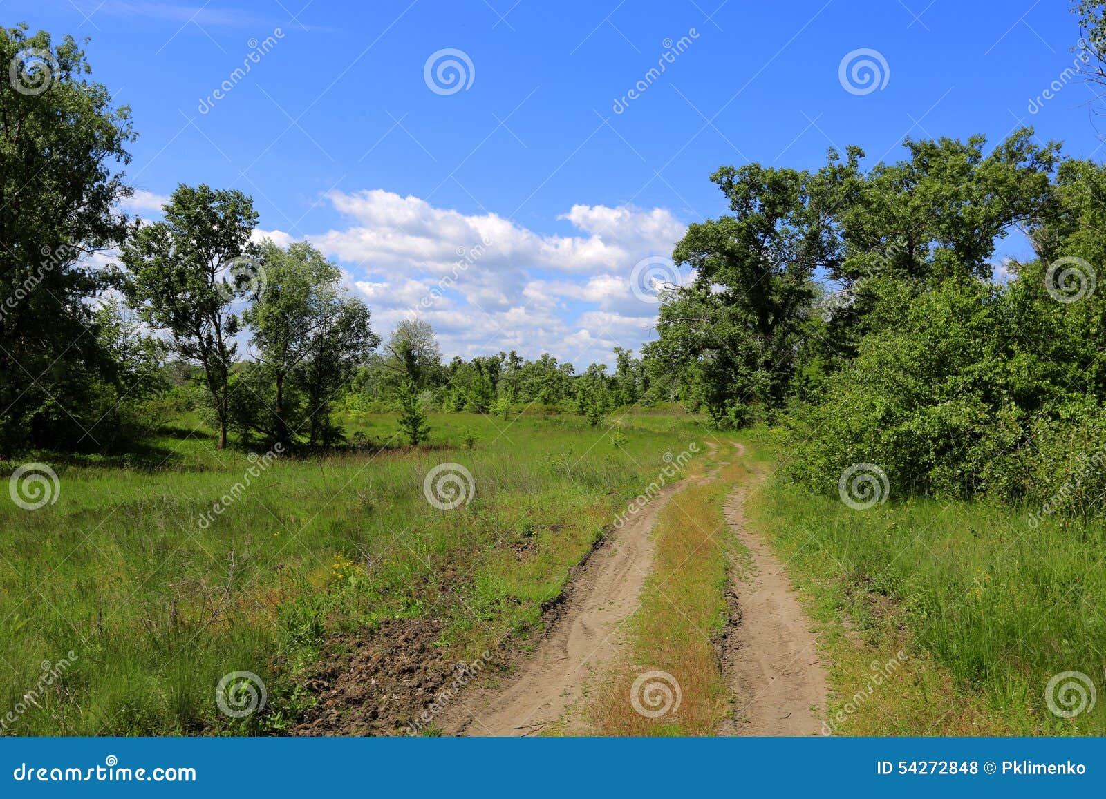 Rut road in forest stock photo. Image of grass, earth - 54272848